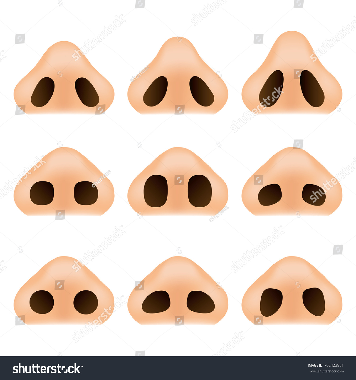Nostril Types Vector: Vector có sẵn (miễn phí bản quyền) 702423961 ...