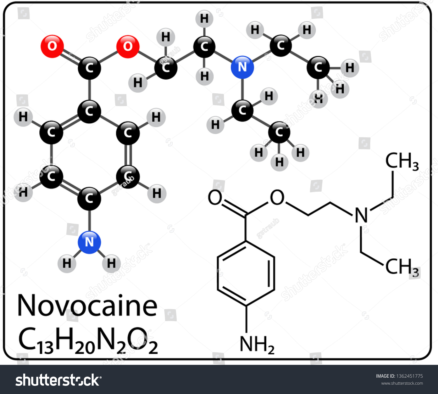 Novocaine Molecule Structure Stock Vector (Royalty Free) 1362451775