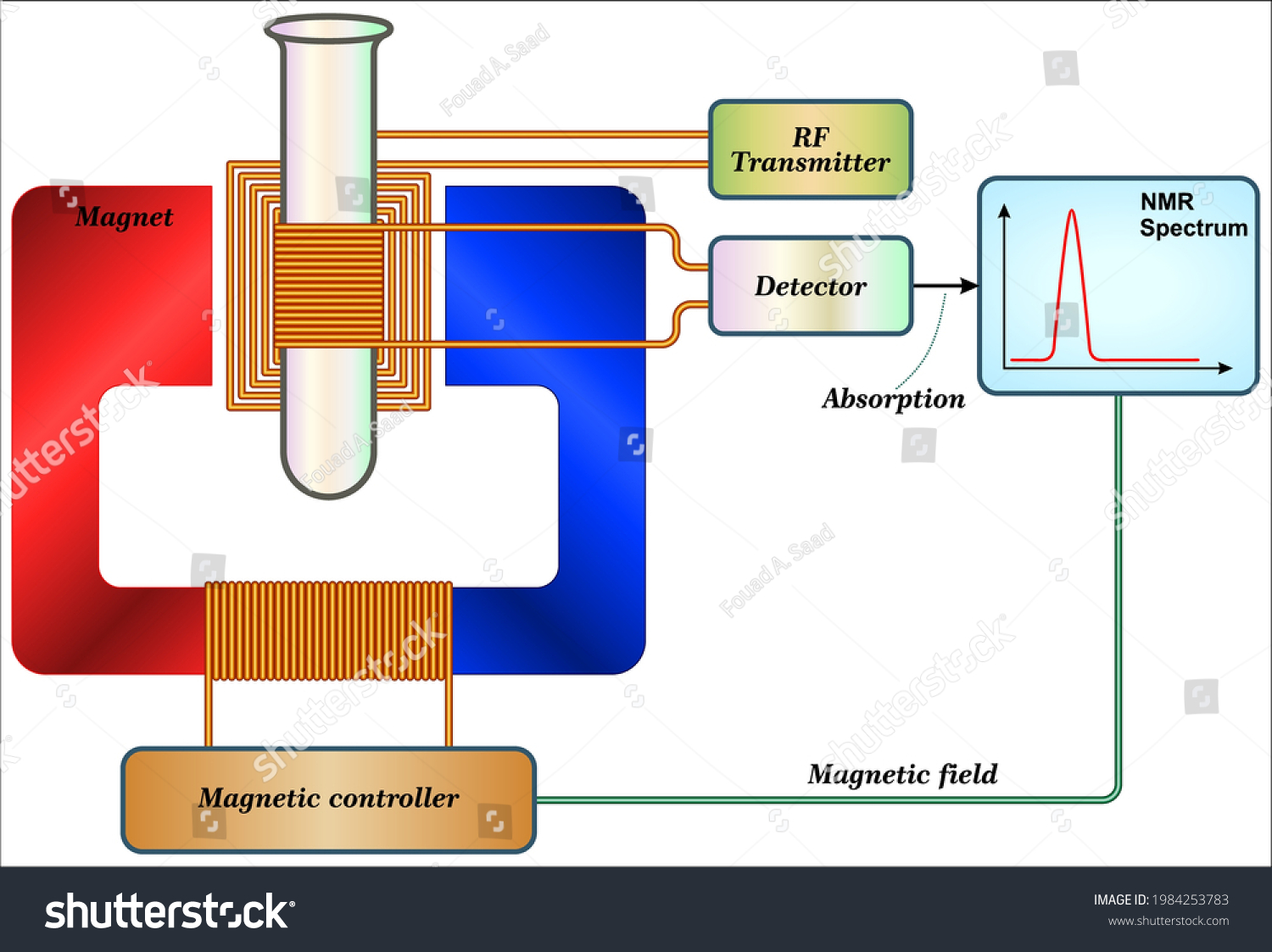 Nuclear Magnetic Resonance Spectroscopy Nmr: เวกเตอร์สต็อก (ปลอดค่า ... Nuclear Magnetic Resonance Spectroscopy Nmr: เวกเตอร์สต็อก (ปลอดค่า ...