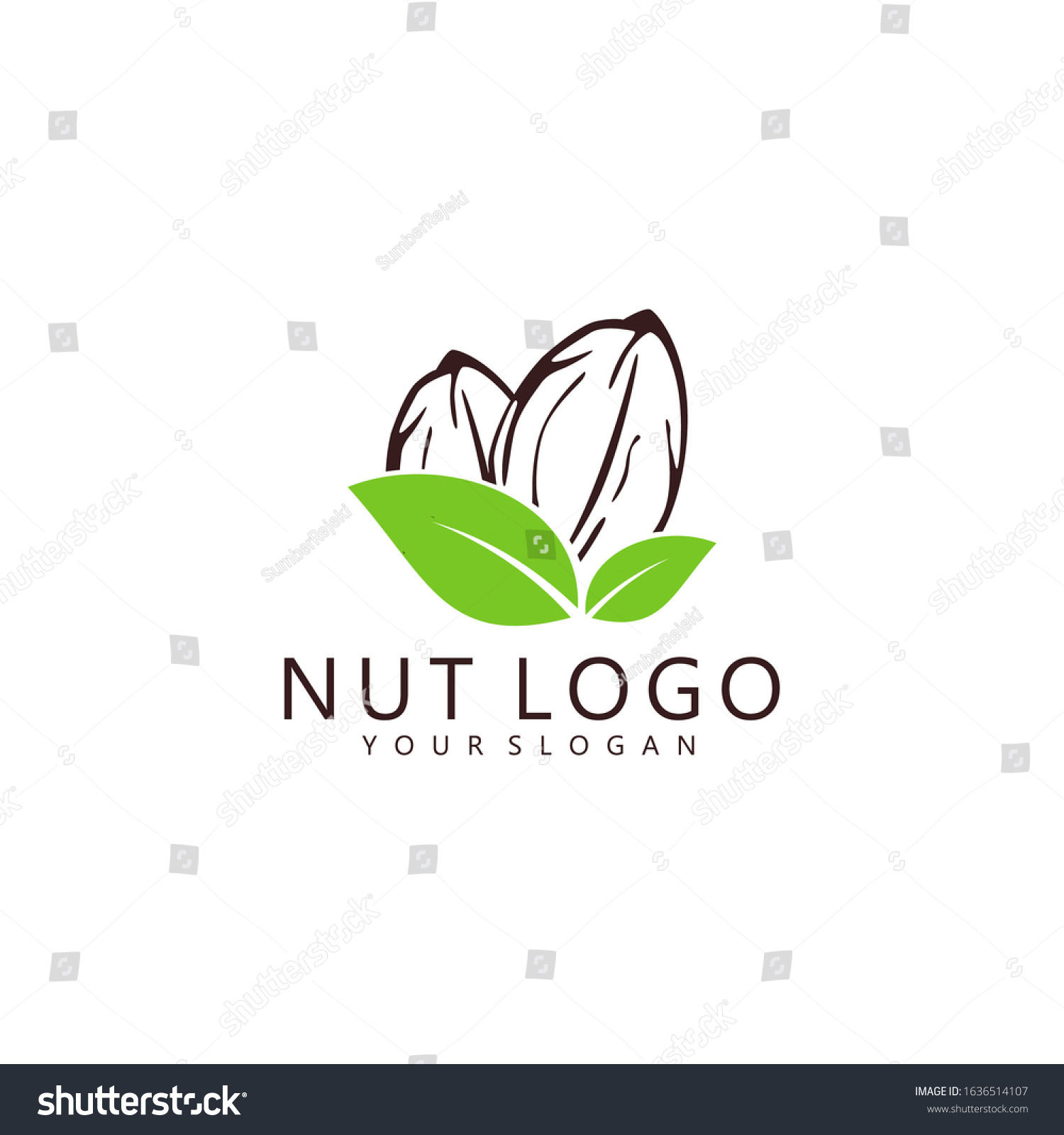 Nut Logo Vector Image Stock Stock Vector (Royalty Free) 1636514107