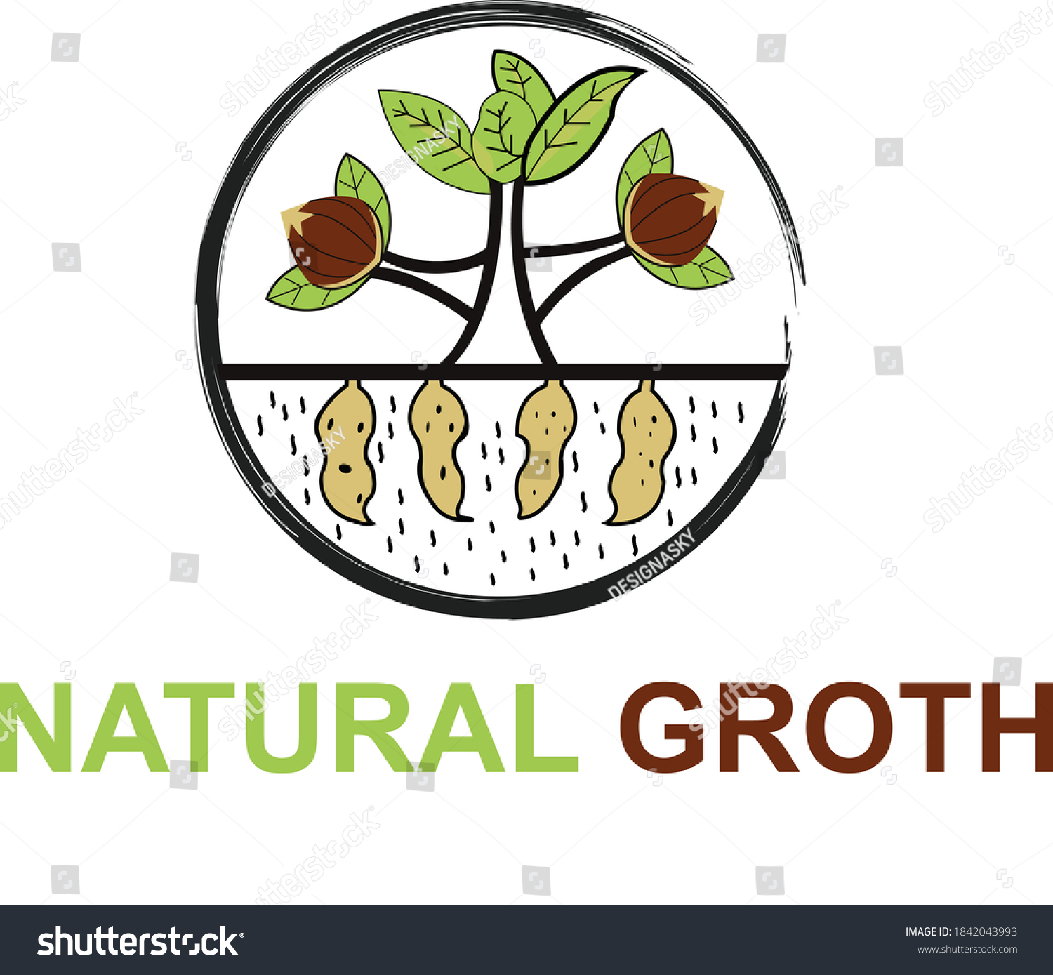 Nut Tree Plant Logo Stock Vector (Royalty Free) 1842043993 | Shutterstock