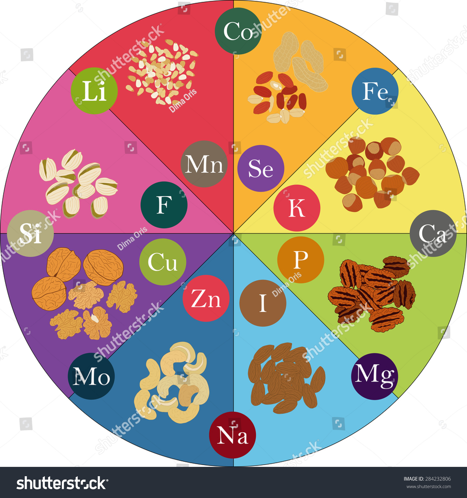 Nuts Micronutrients Stock Vector (Royalty Free) 284232806