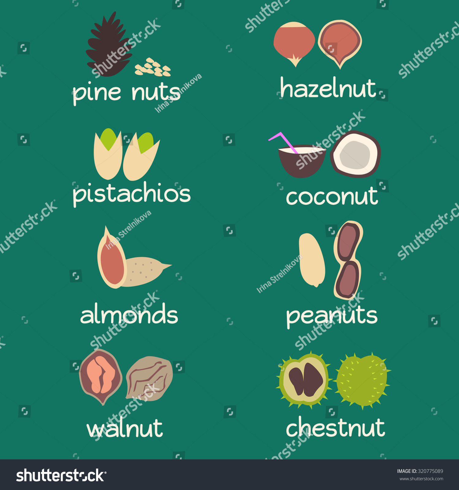 Nuts Icon Set Nuts Shell Flat Stock Vector (Royalty Free) 320775089 ...
