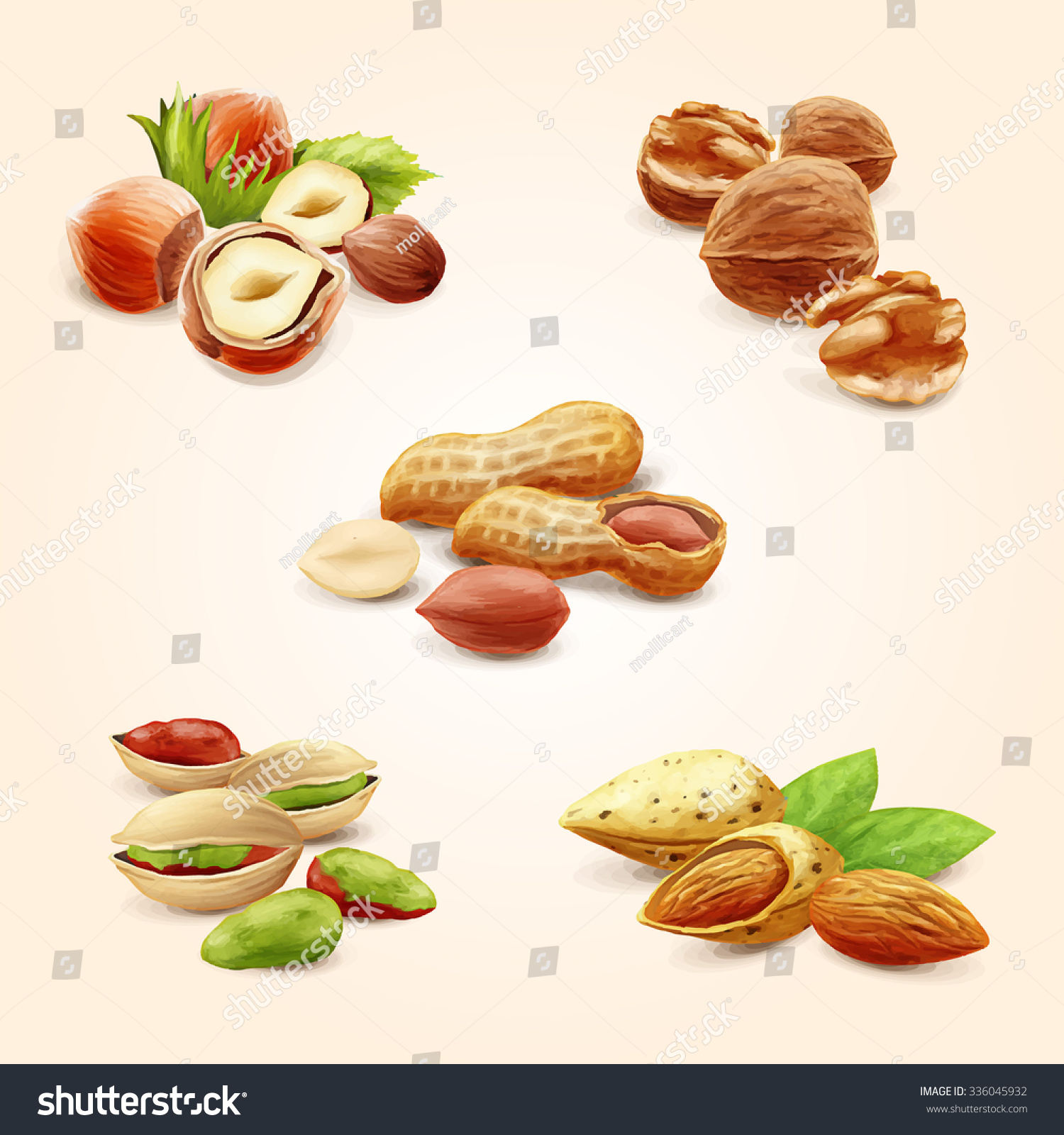 Nuts Icons Stock Vector (Royalty Free) 336045932 | Shutterstock