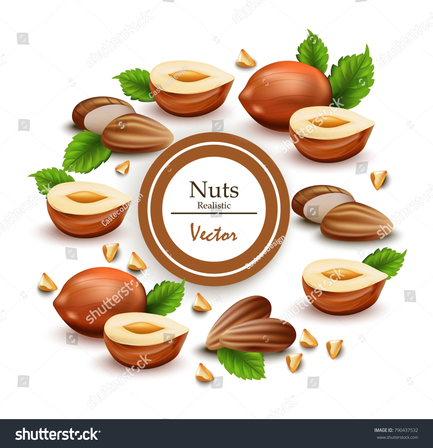 Nuts Realistic Vector Template Label Design 库存矢量图（免版税）790437532 | Shutterstock