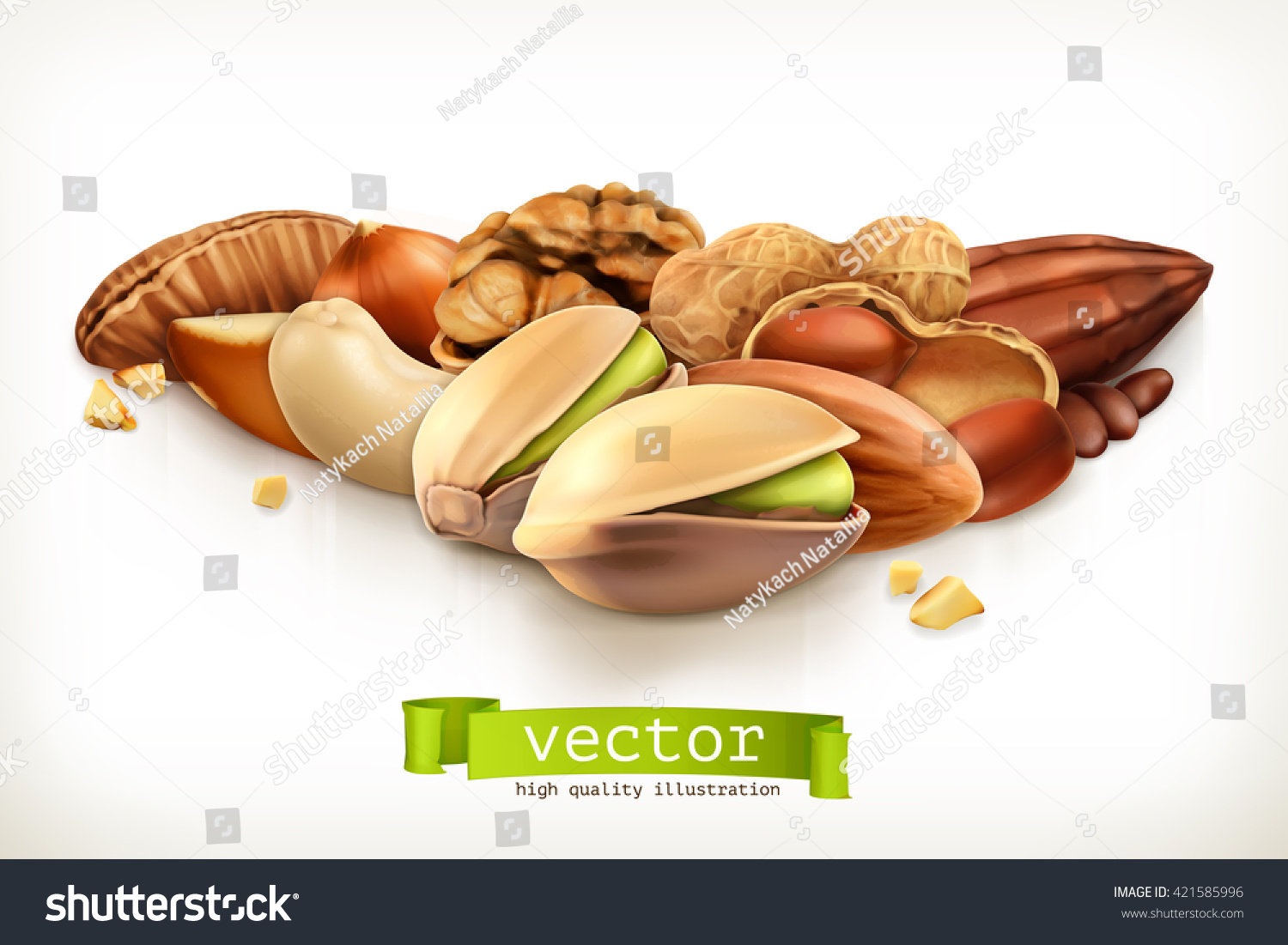 Nuts Vector Illustration Isolated On White Stock Vector (Royalty Free ...