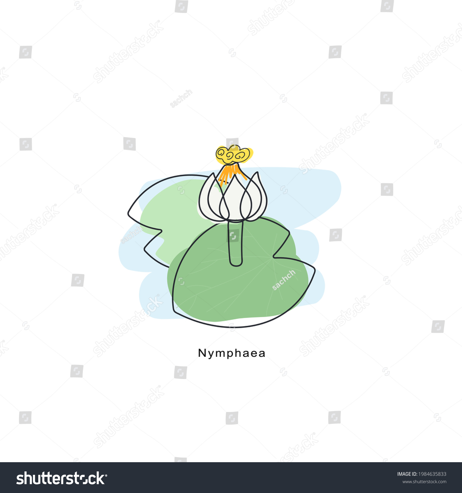 Nymphaea Flower Drawing Vector Illustration Stock Vector (Royalty Free ...