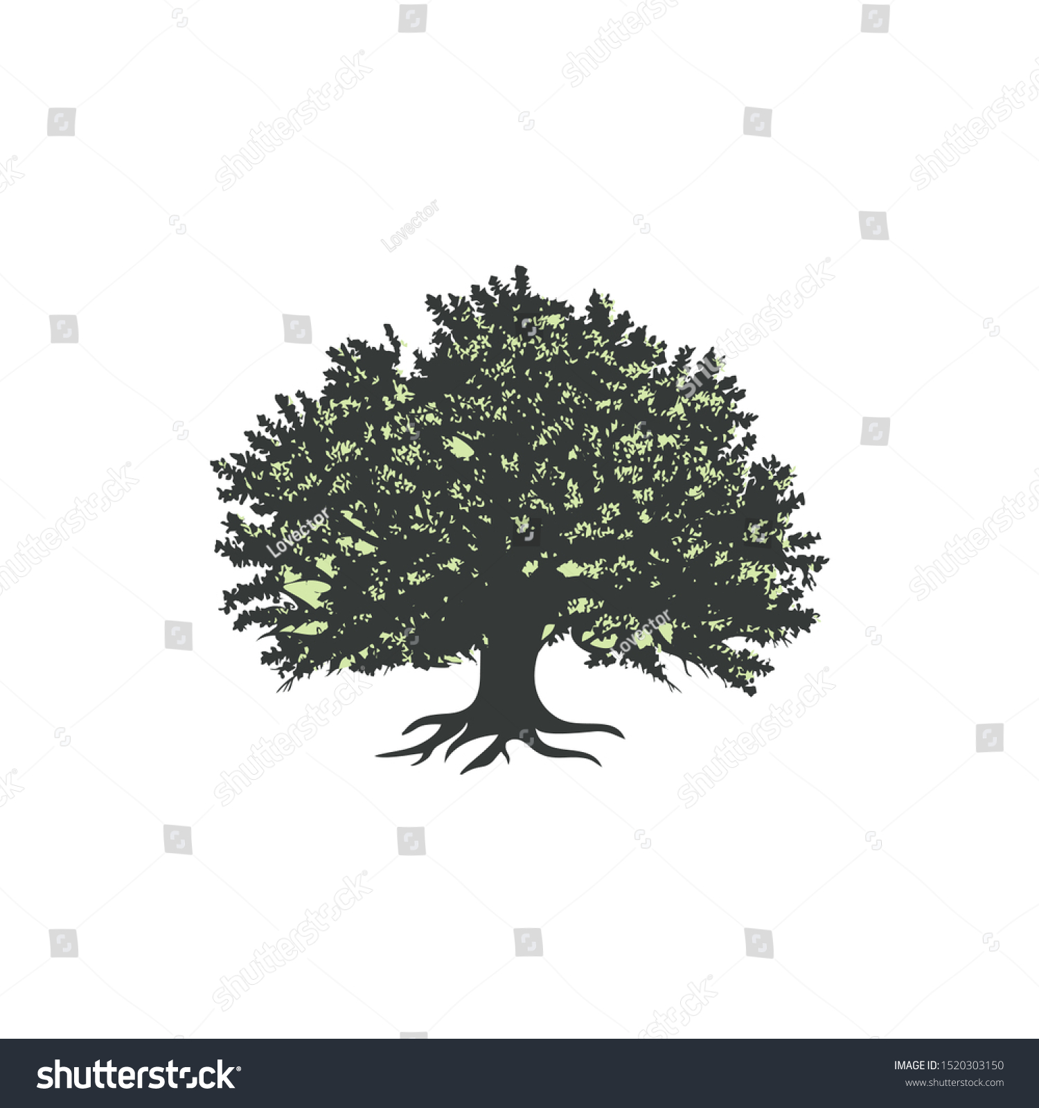 Oak Tree Clean Modern Vector Logo Stock Vector (Royalty Free ...