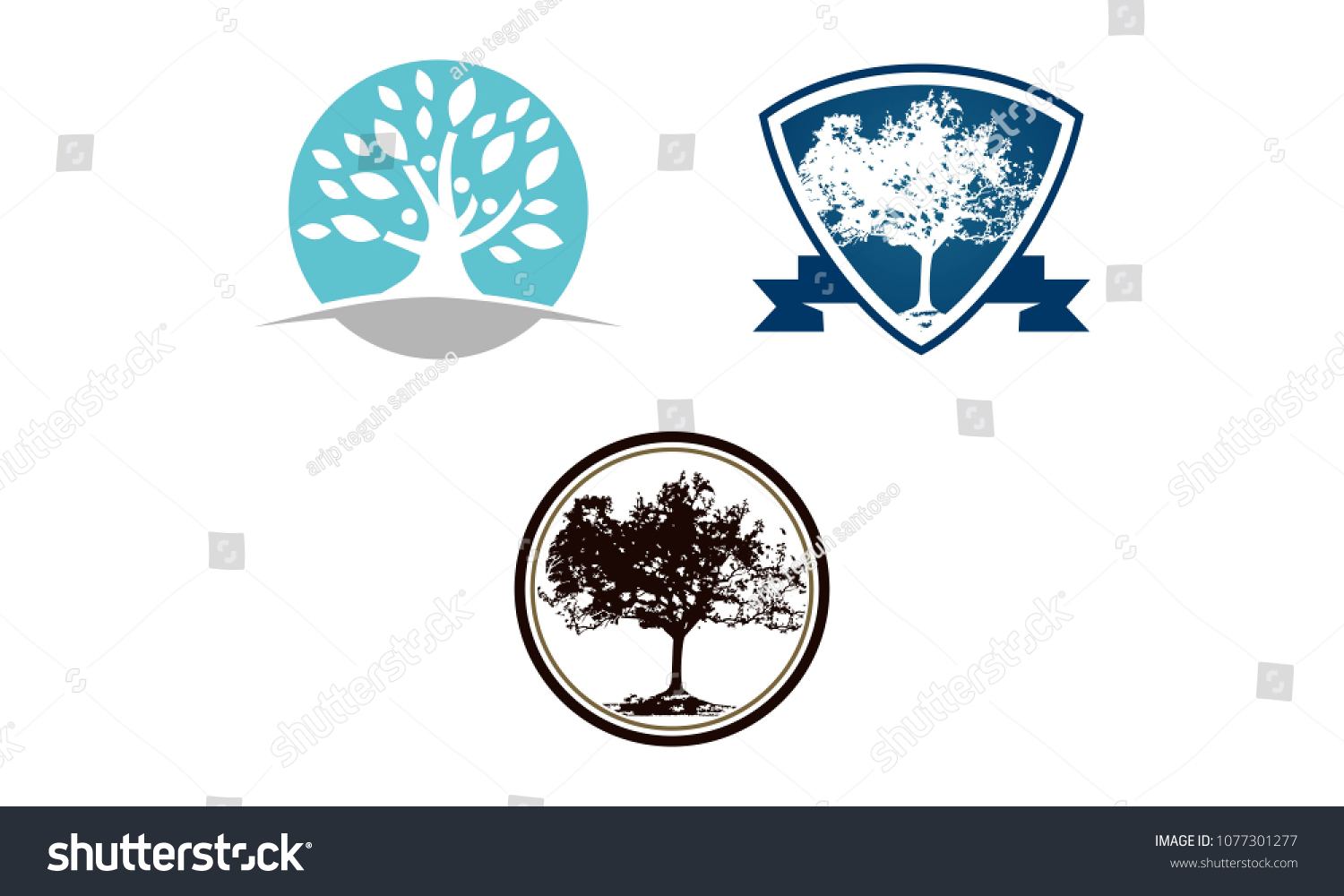 Oak Tree Template Set Stock Vector (Royalty Free) 1077301277