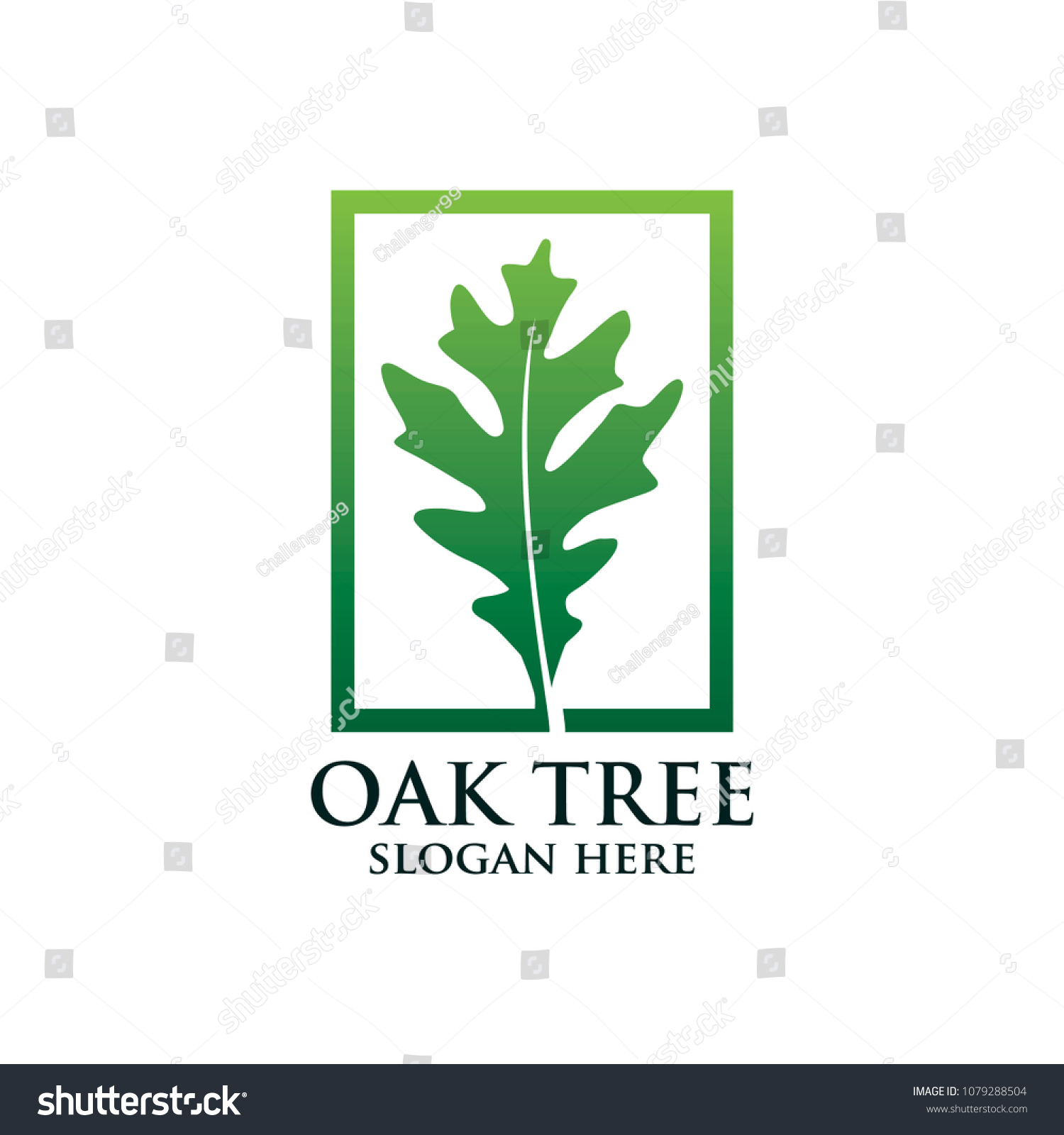 Oak Tree Vector Logo Isolated Logo Stock Vector (Royalty Free ...