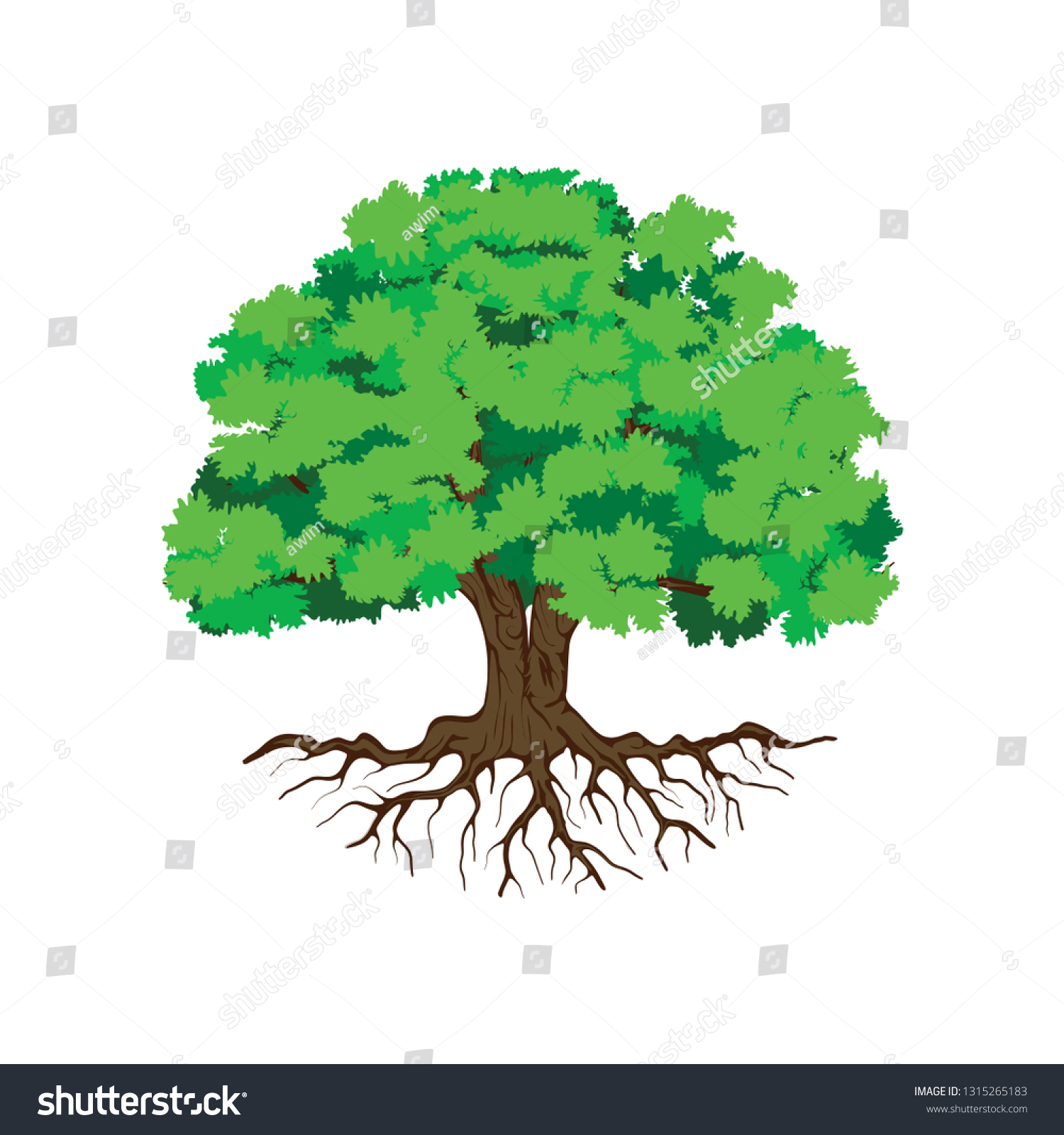 Oak Tree Roots Vector Isolated: เวกเตอร์สต็อก (ปลอดค่าลิขสิทธิ์) 1315265183