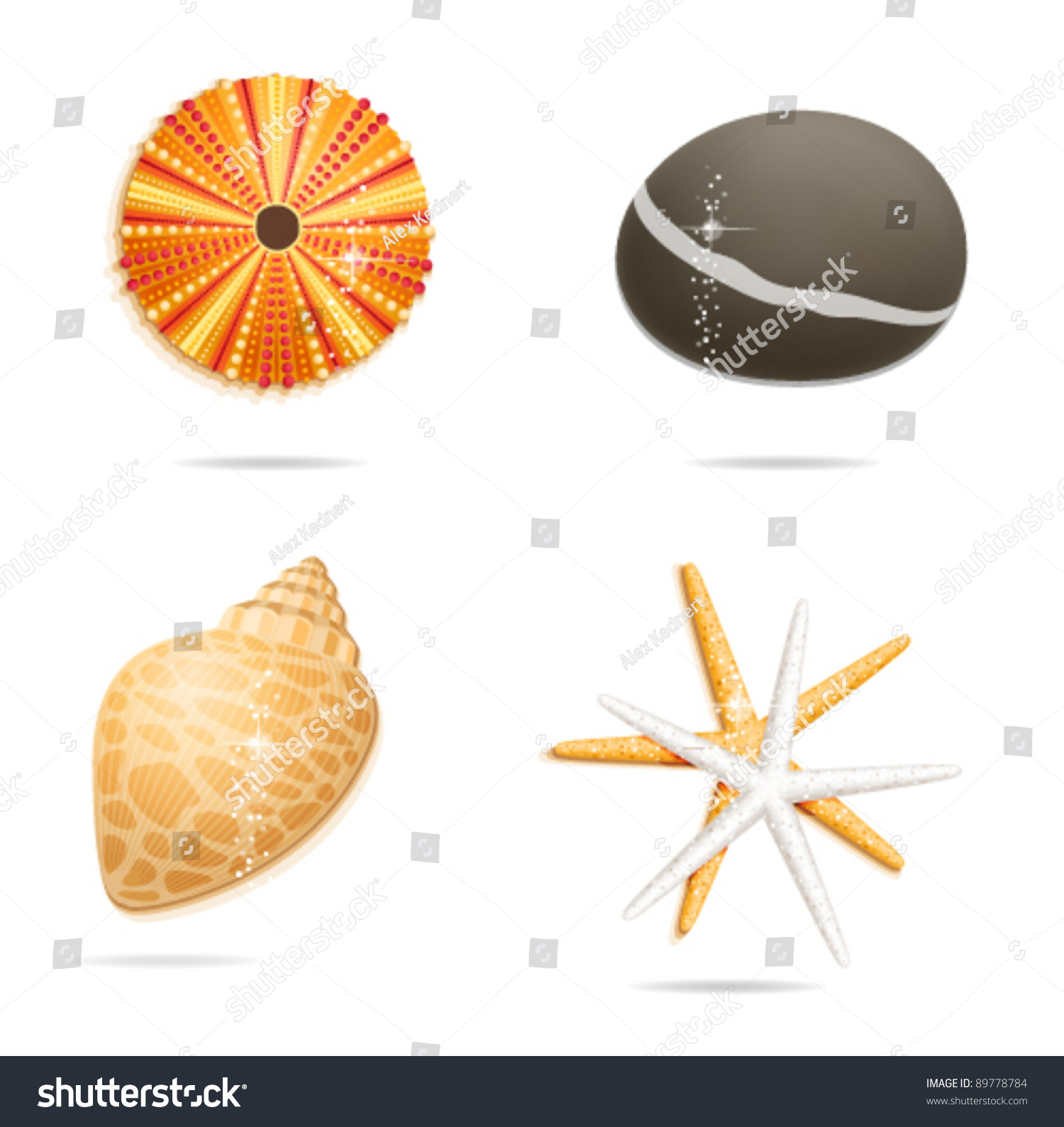 Ocean Symbols Stock Vector (Royalty Free) 89778784 | Shutterstock