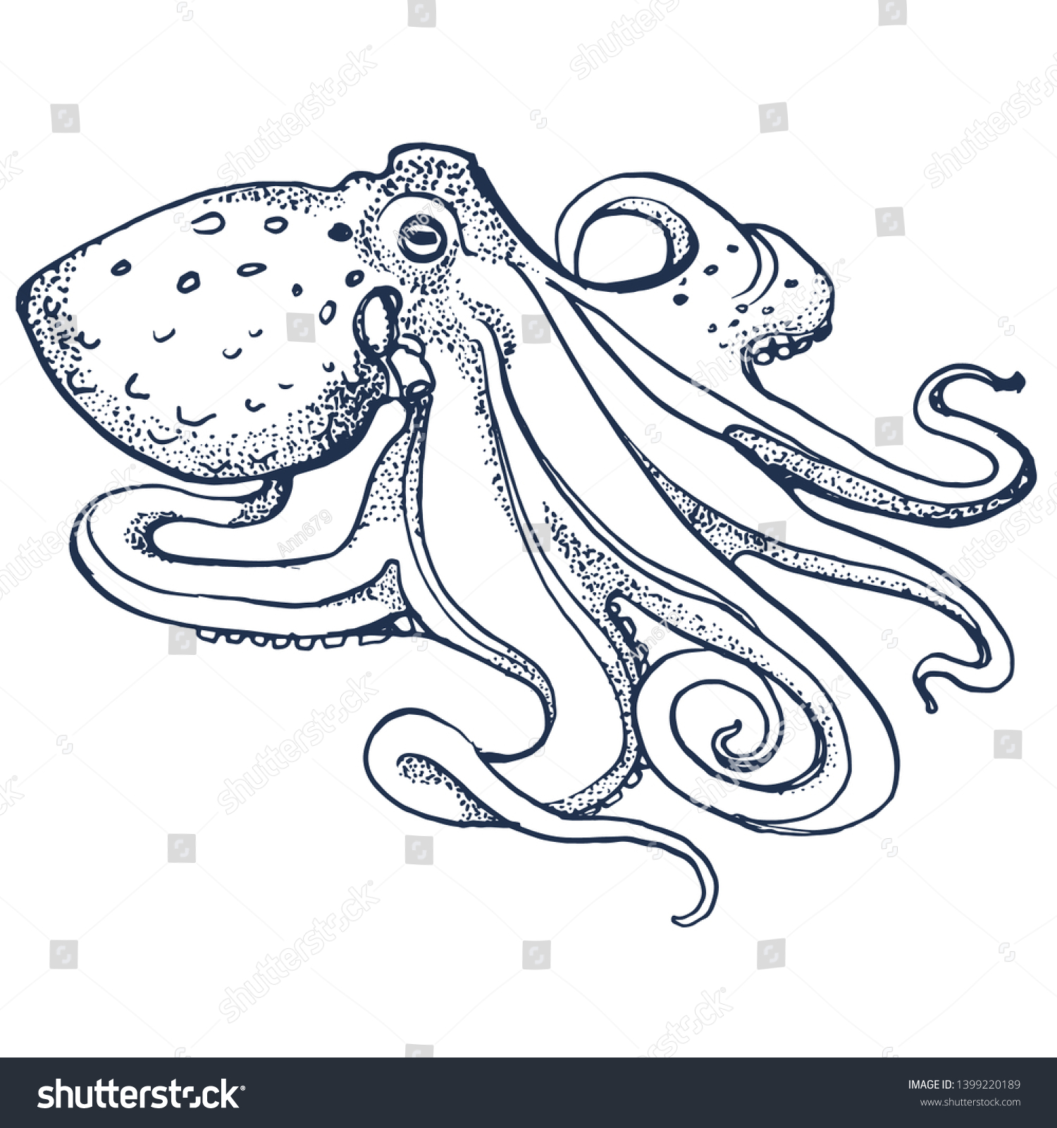 Octopus Hand Drawing Isolated On White: เวกเตอร์สต็อก (ปลอดค่าลิขสิทธิ์ ...