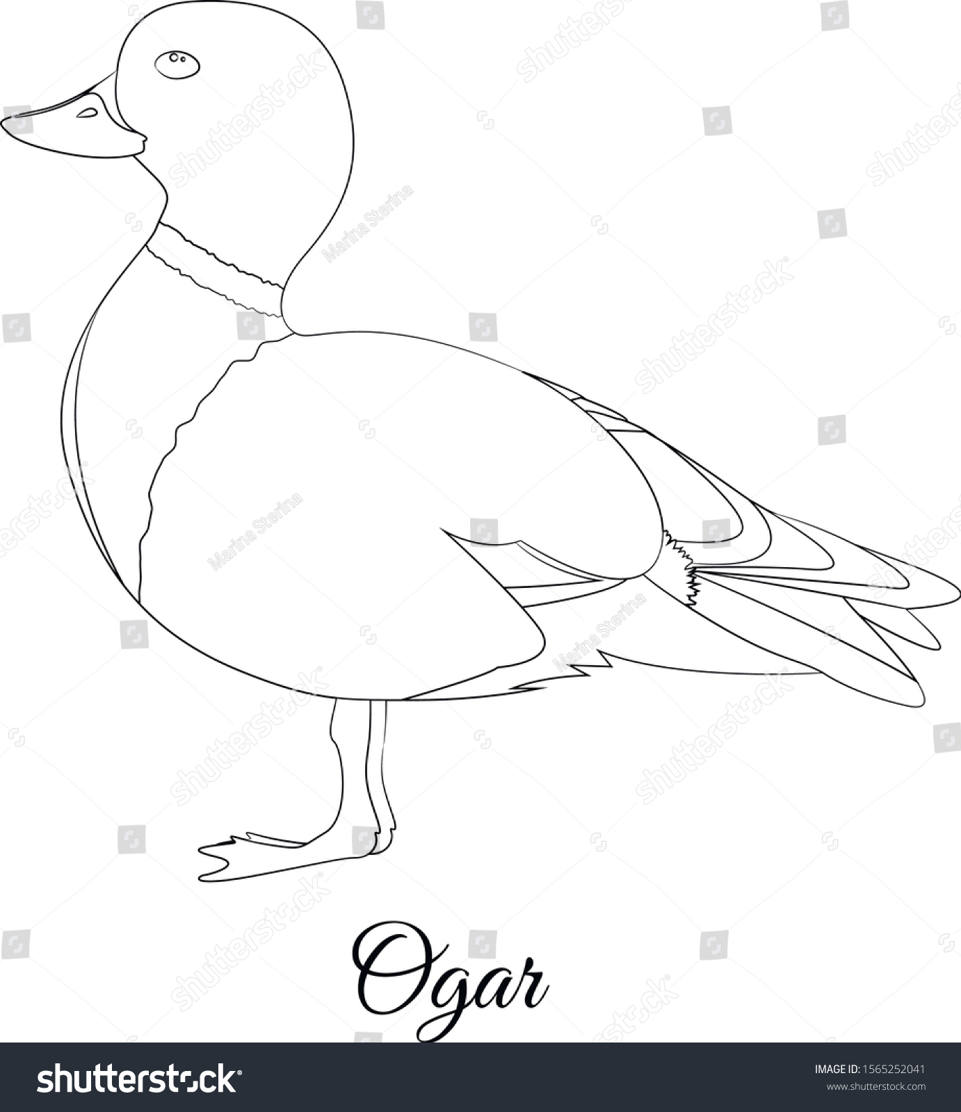 Ogar Stock Illustrations, Images & Vectors | Shutterstock