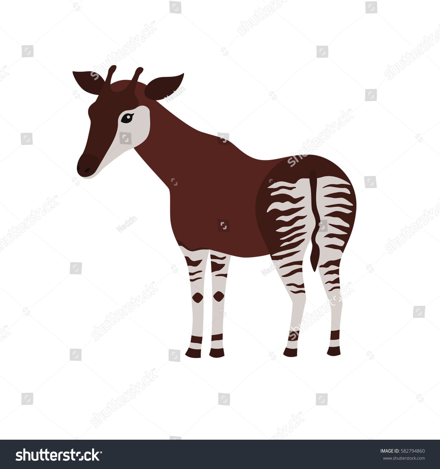 Okapi Cartoon Isolated On White Background: vector de stock (libre de ...