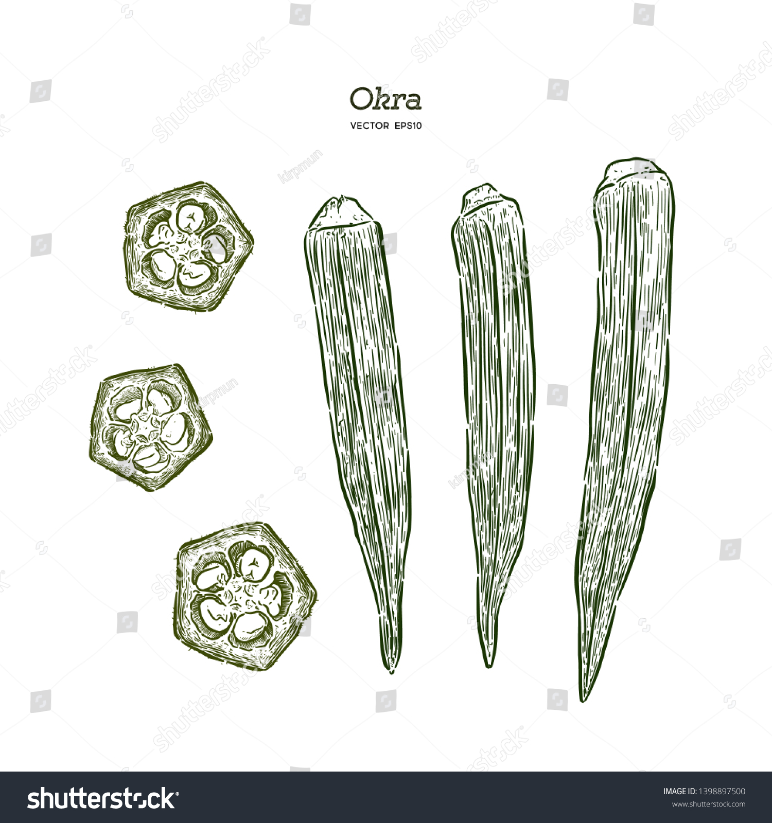 Okra Hand Draw Sketch Vector Vegetable: เวกเตอร์สต็อก (ปลอดค่าลิขสิทธิ์ ...