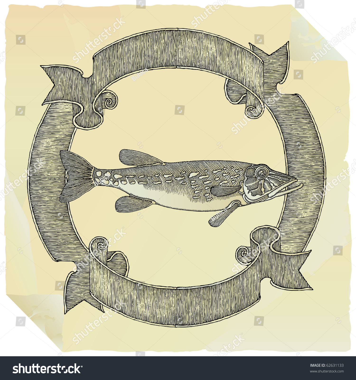 Old Paper Pike Label Drawing: เวกเตอร์สต็อก (ปลอดค่าลิขสิทธิ์) 62631133 ...