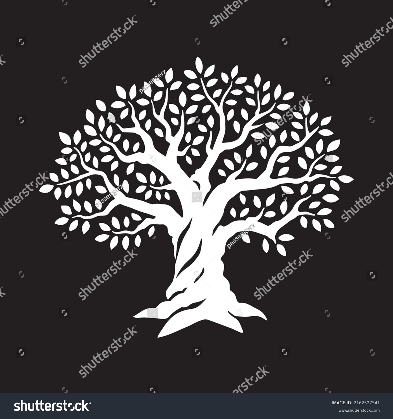 Olive Tree Black White Vector Illustration Stock Vector (Royalty Free ...