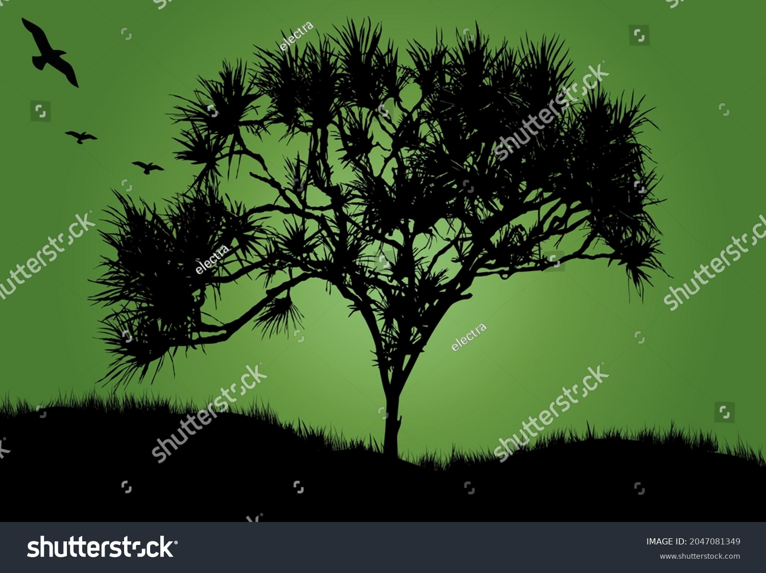 One Pandanus Tree Green Background Stock Vector (Royalty Free) 2047081349