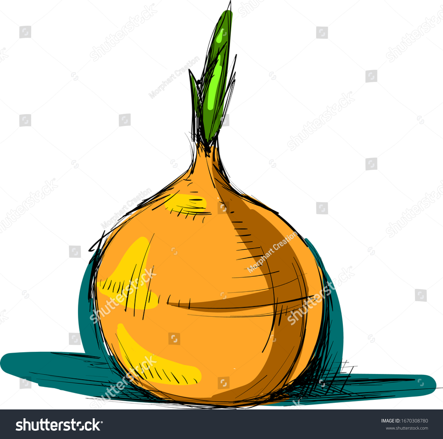Onion Drawing Illustration Vector On White Stock Vector (Royalty Free ...