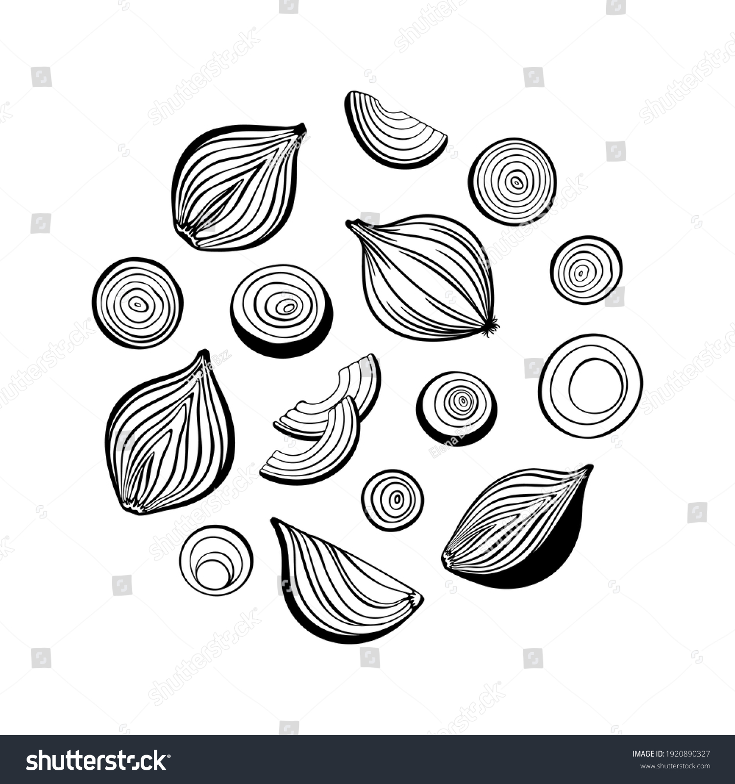 Onion Round Frame Vector Outline Drawing Stock Vector (Royalty Free ...