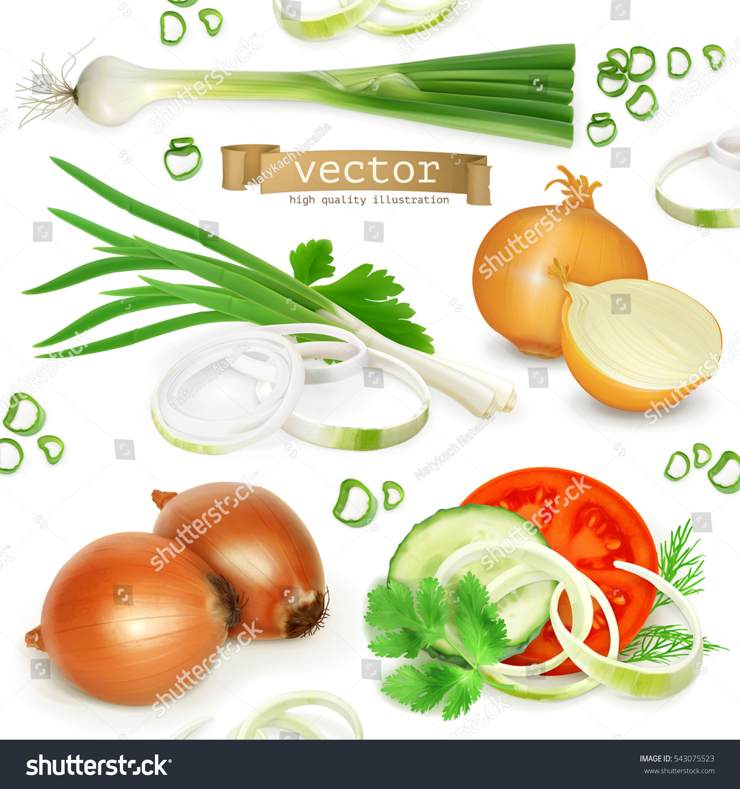 Onion Set Realistic Vector Icons Stock Vector (Royalty Free) 543075523
