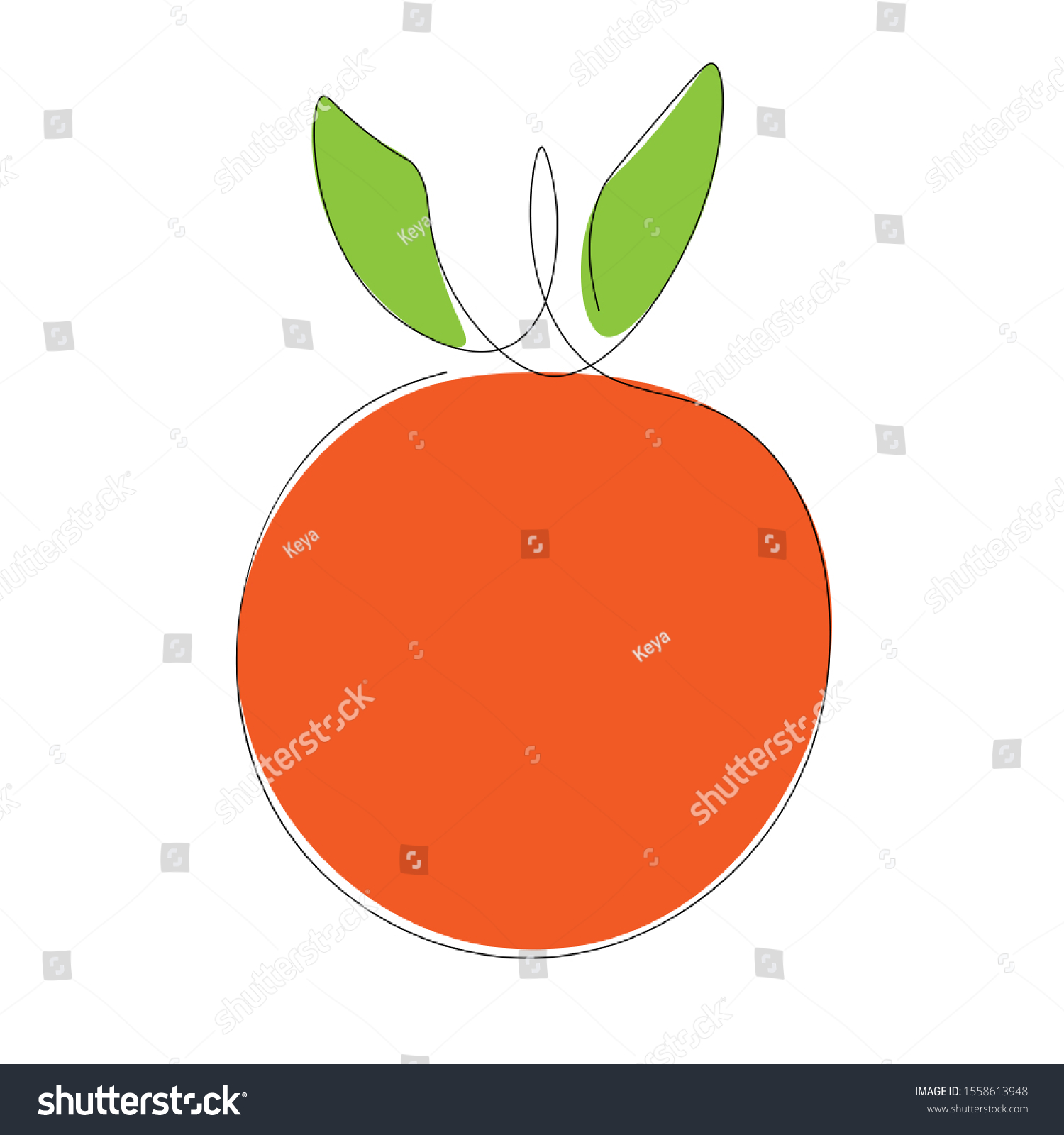 Orange Fruit Continuous Line Drawing Vector Stock Vector (Royalty Free ...