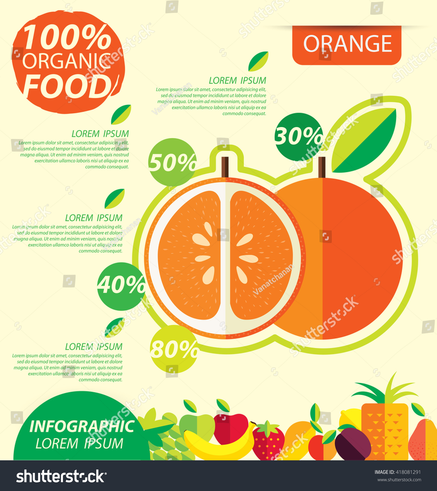 Orange Fruit Infographic Template Vector Illustration Stock Vector ...