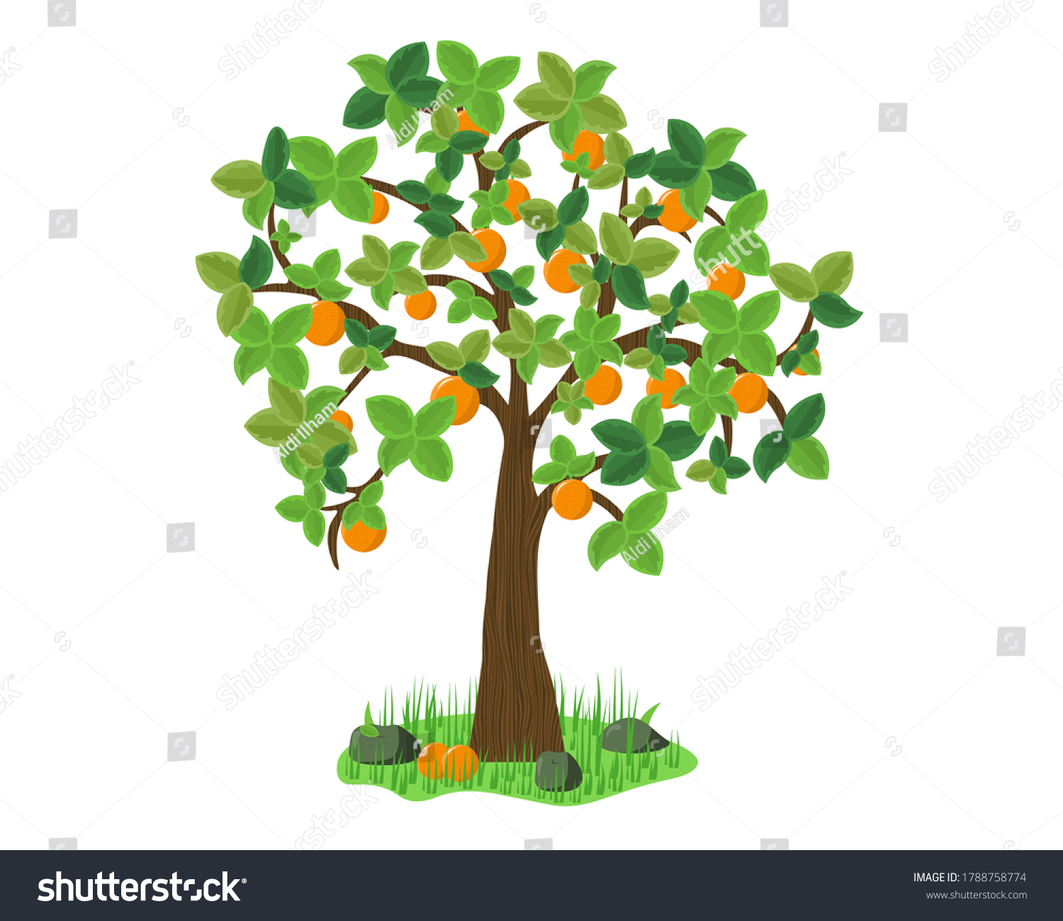 Orangetrees Images, Stock Photos & Vectors | Shutterstock