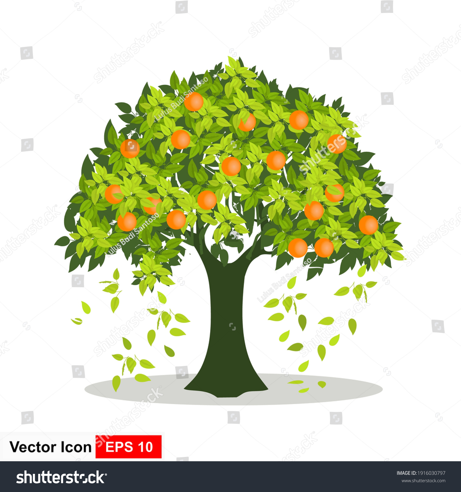 Orange Tree White Background Illustration Vector Stock Vector Royalty