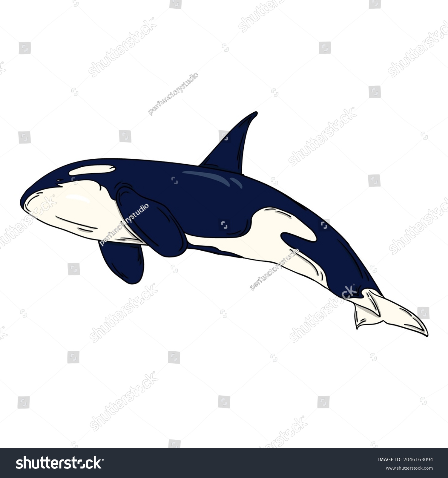 Orca Vector Illustration Hand Drawn Whale Stock Vector (Royalty Free ...