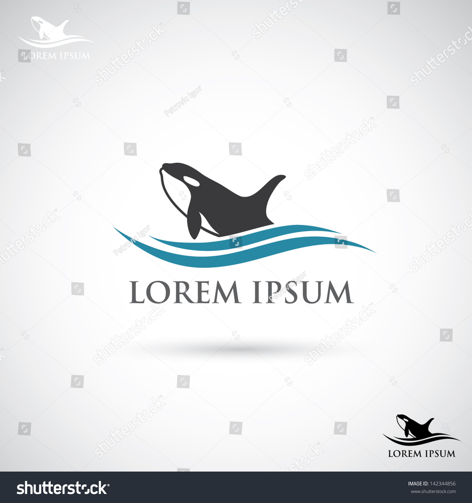 Orca Whale Label Vector Illustration Stock Vector (Royalty Free ...