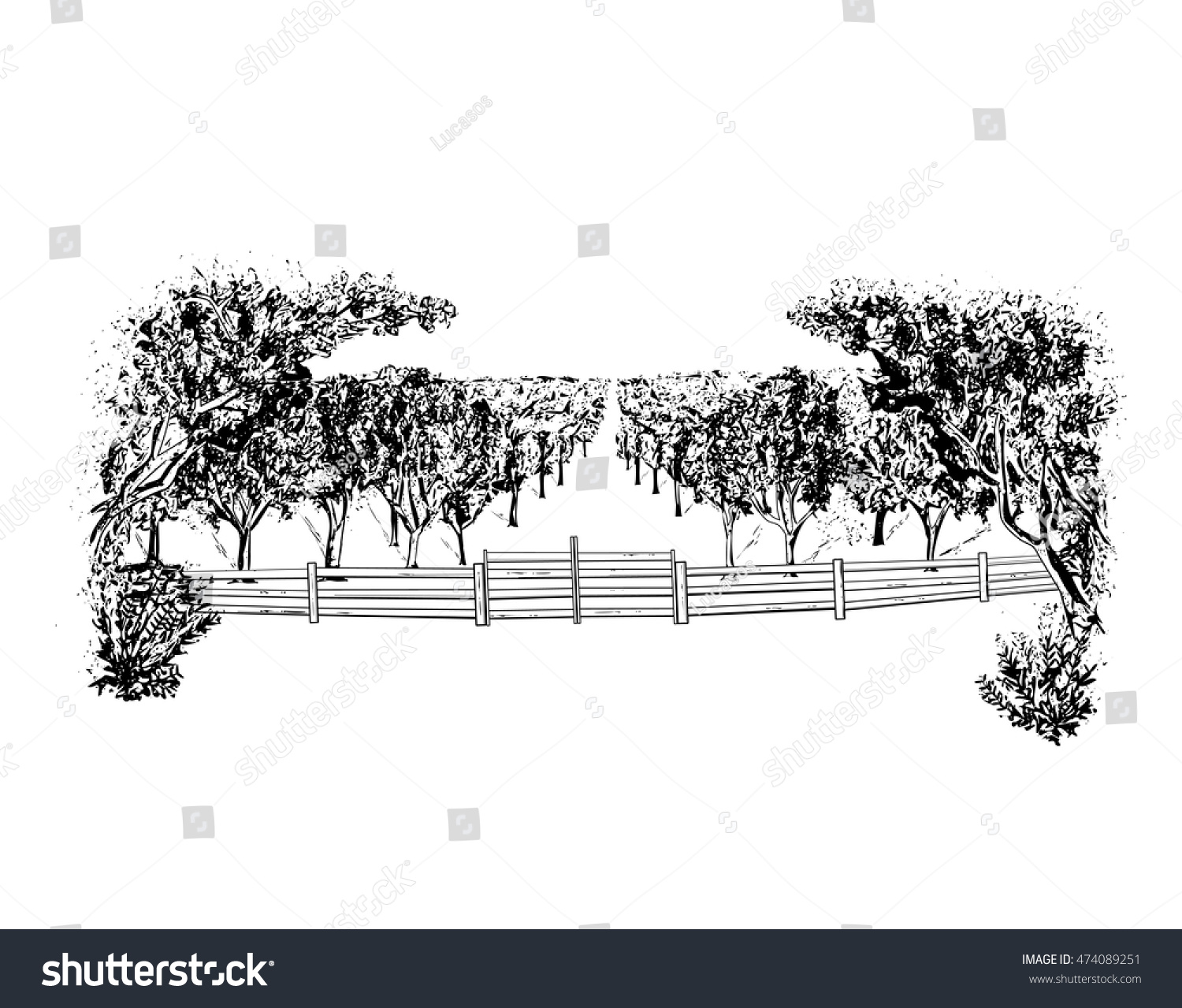 Orchard Landscape Stock Vector (Royalty Free) 474089251