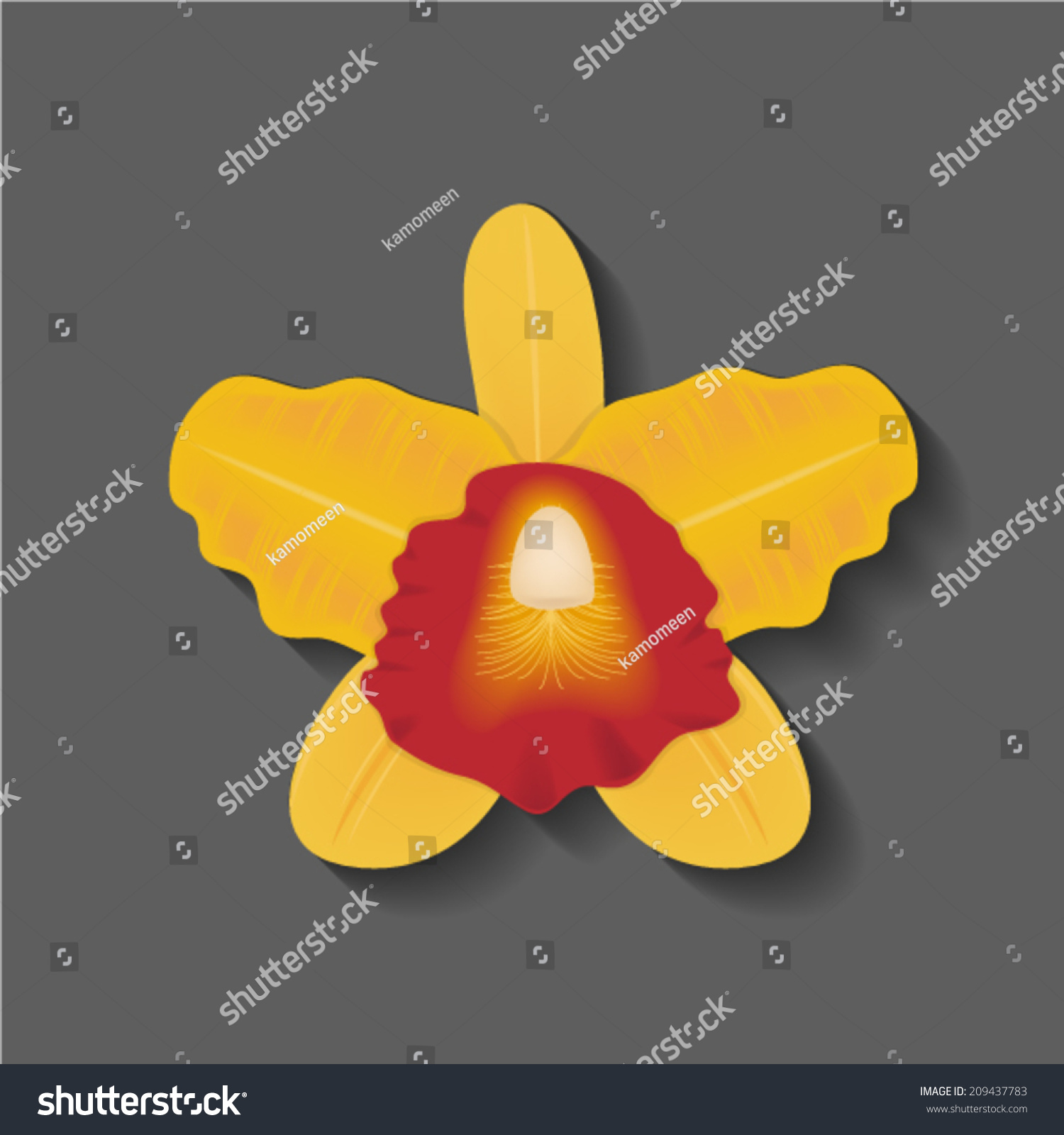 Orchid Stock Vector (Royalty Free) 209437783 | Shutterstock