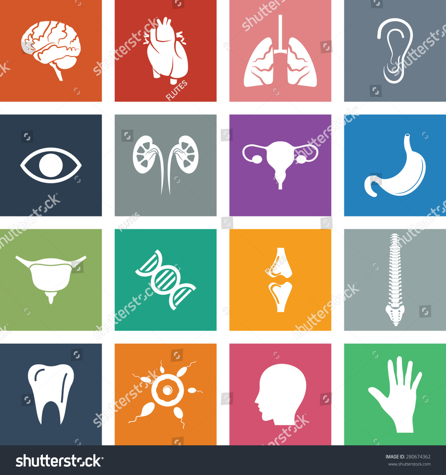 Organ Icon Set Eps10 Stock Vector (Royalty Free) 280674362 | Shutterstock
