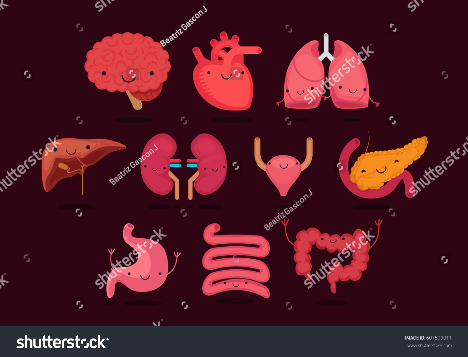 29,946 Cartoons body organs Images, Stock Photos & Vectors | Shutterstock