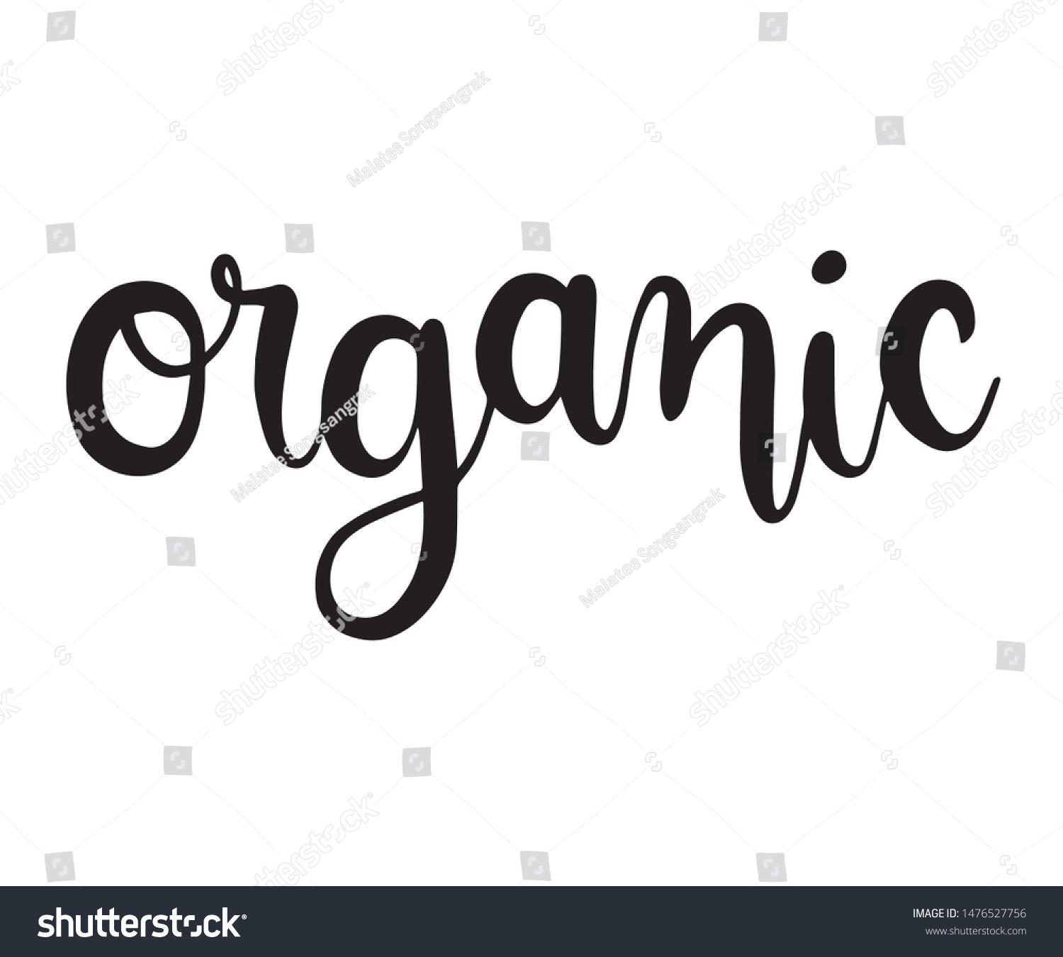 Organic Calligraphy Hand Lettering Vector Stock Vector (Royalty Free ...