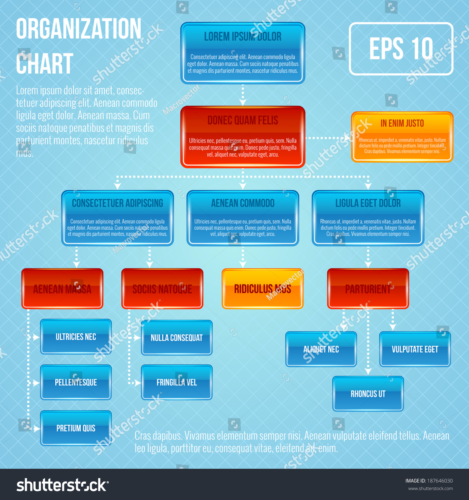 Organizational Chart Infographic Business Work Hierarchy Stock Vector ... Organizational Chart Infographic Business Work Hierarchy Stock Vector ...