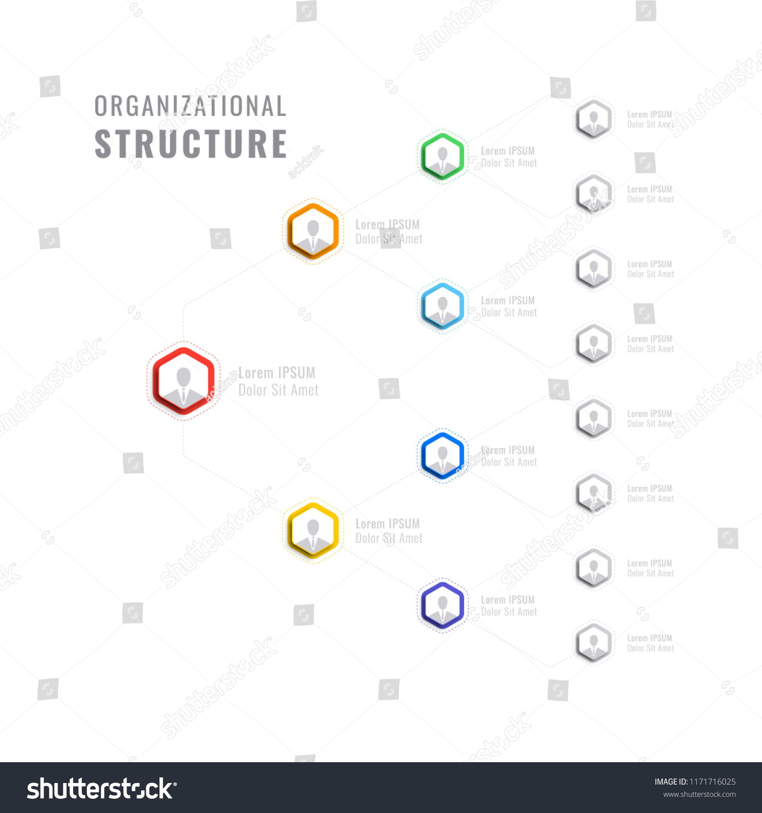Organizational Structure Company Business Hierarchy Hexagonal Stock ... Organizational Structure Company Business Hierarchy Hexagonal Stock ...