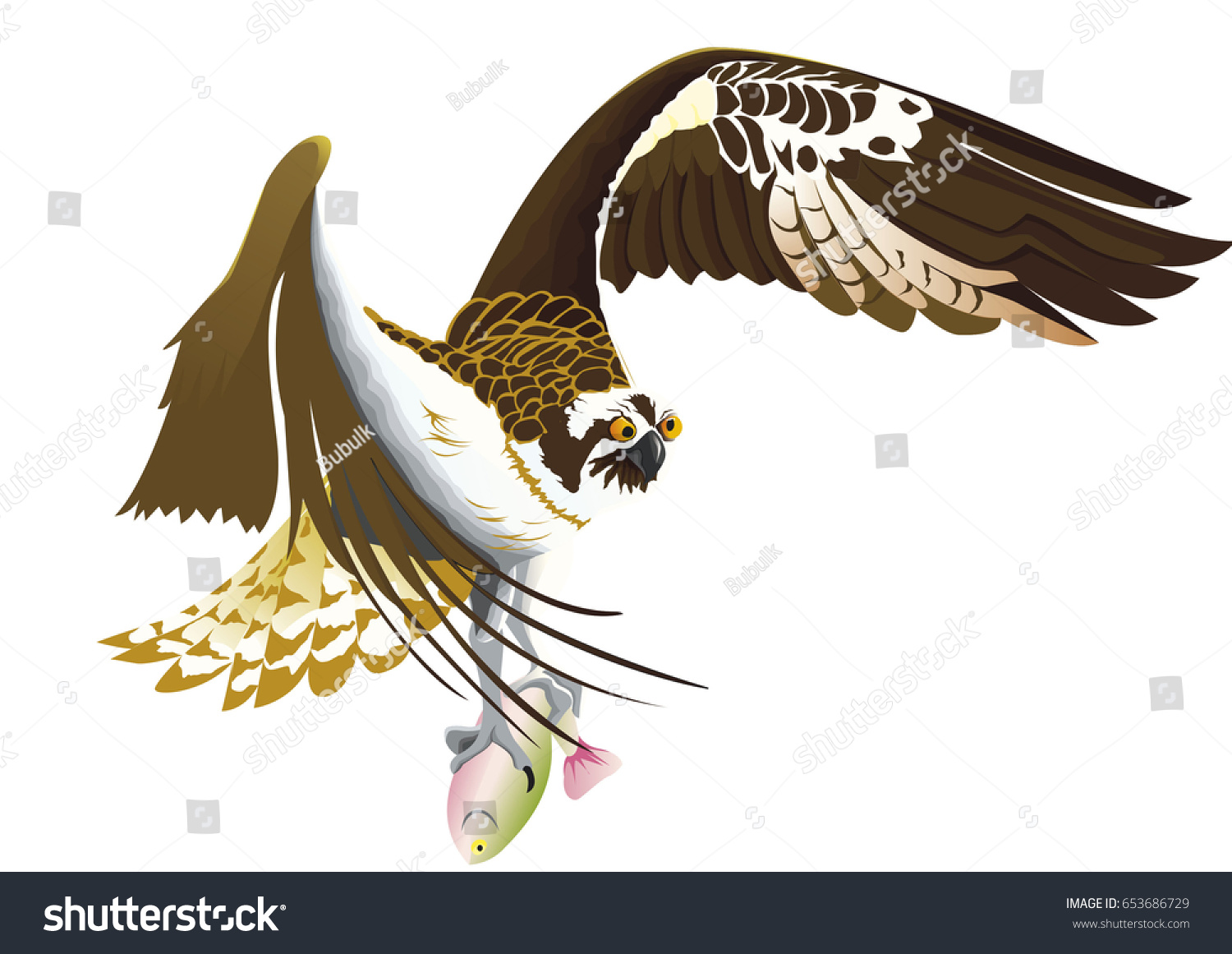 Osprey Fly Fish Stock Vector (Royalty Free) 653686729 | Shutterstock