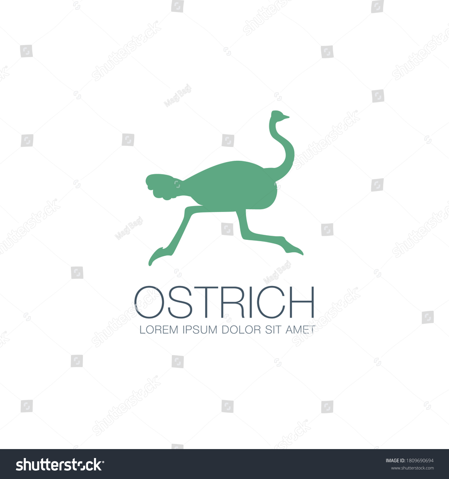 Ostrich Logo Design Vector Illustration Stock Vector (Royalty Free ...