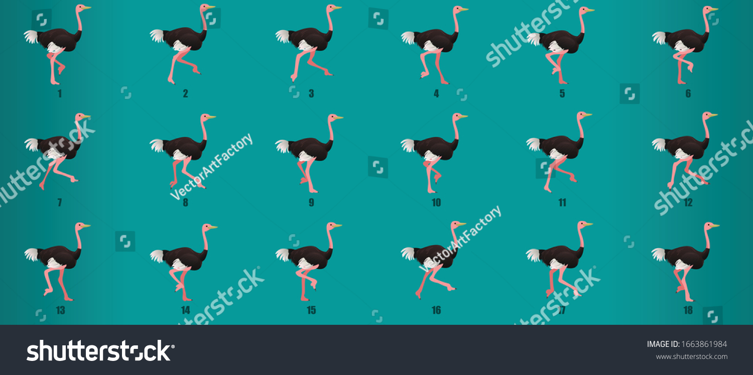 Ostrich Run Cycle Animation Sequence Loop Stok Vektör (Telifsiz ...