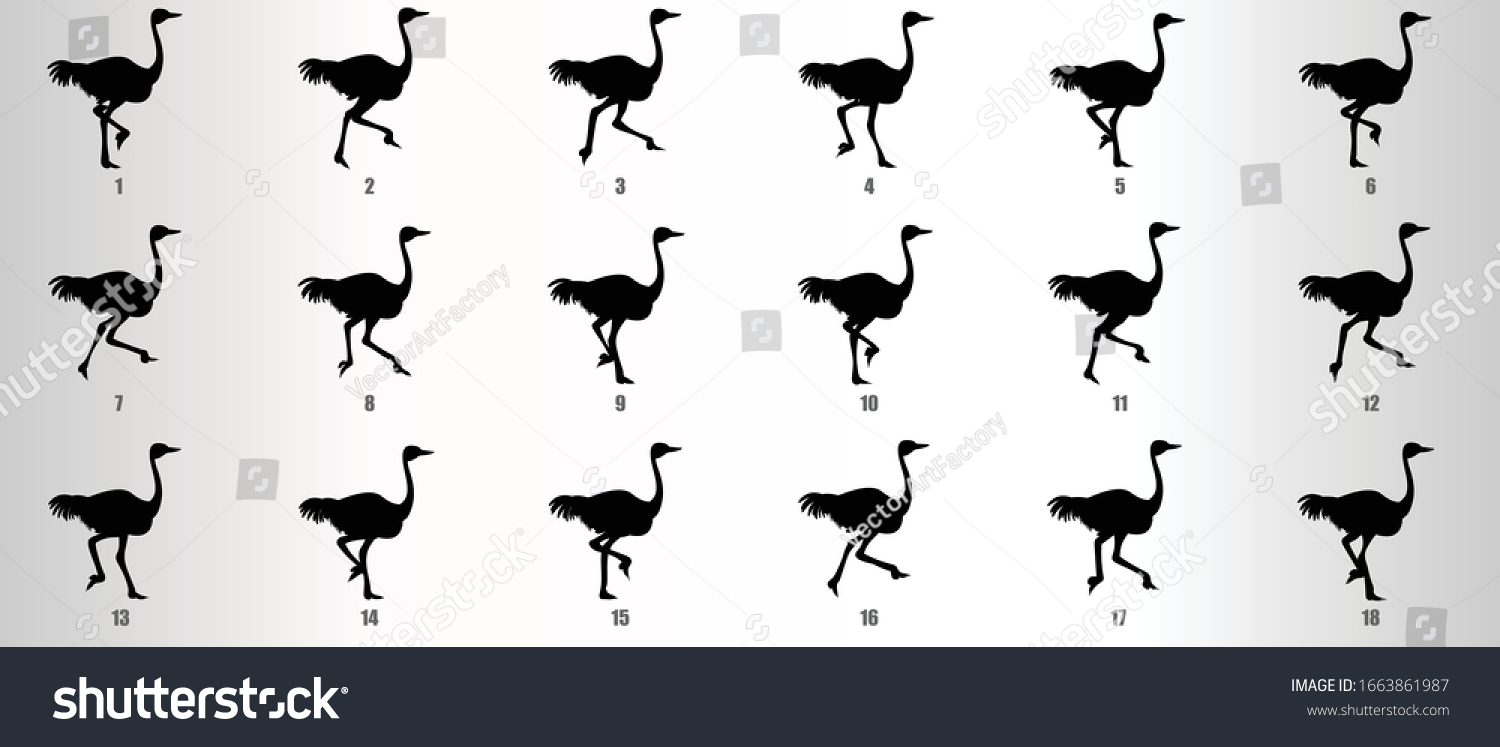 Ostrich Run Cycle Animation Sequence Silhouette Stok Vektör (Telifsiz ...