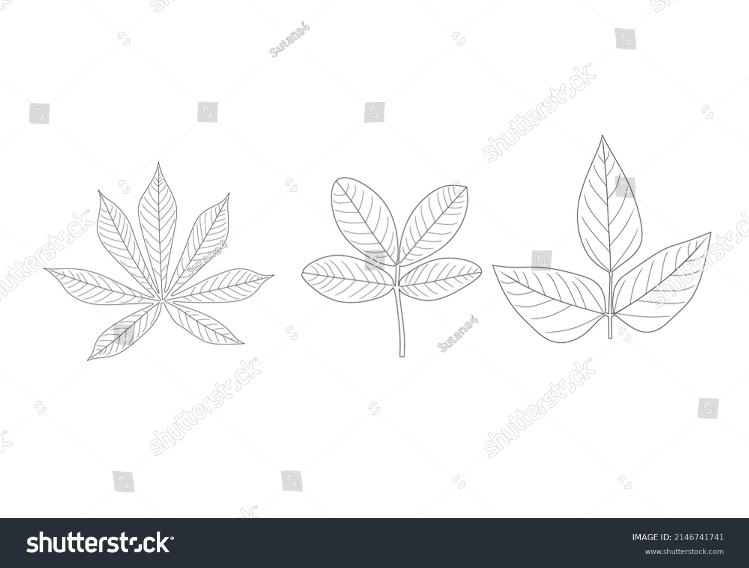 Outline Botanical Leaf Icon Set Vector Stock Vector (Royalty Free ...