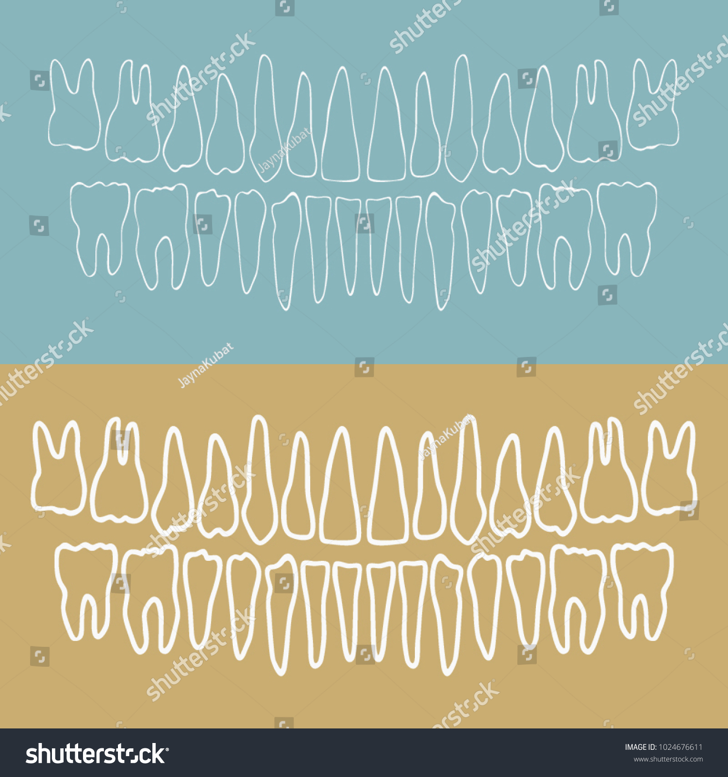 Outline Human Teeth Vector Illustration Stock Vector (Royalty Free ...