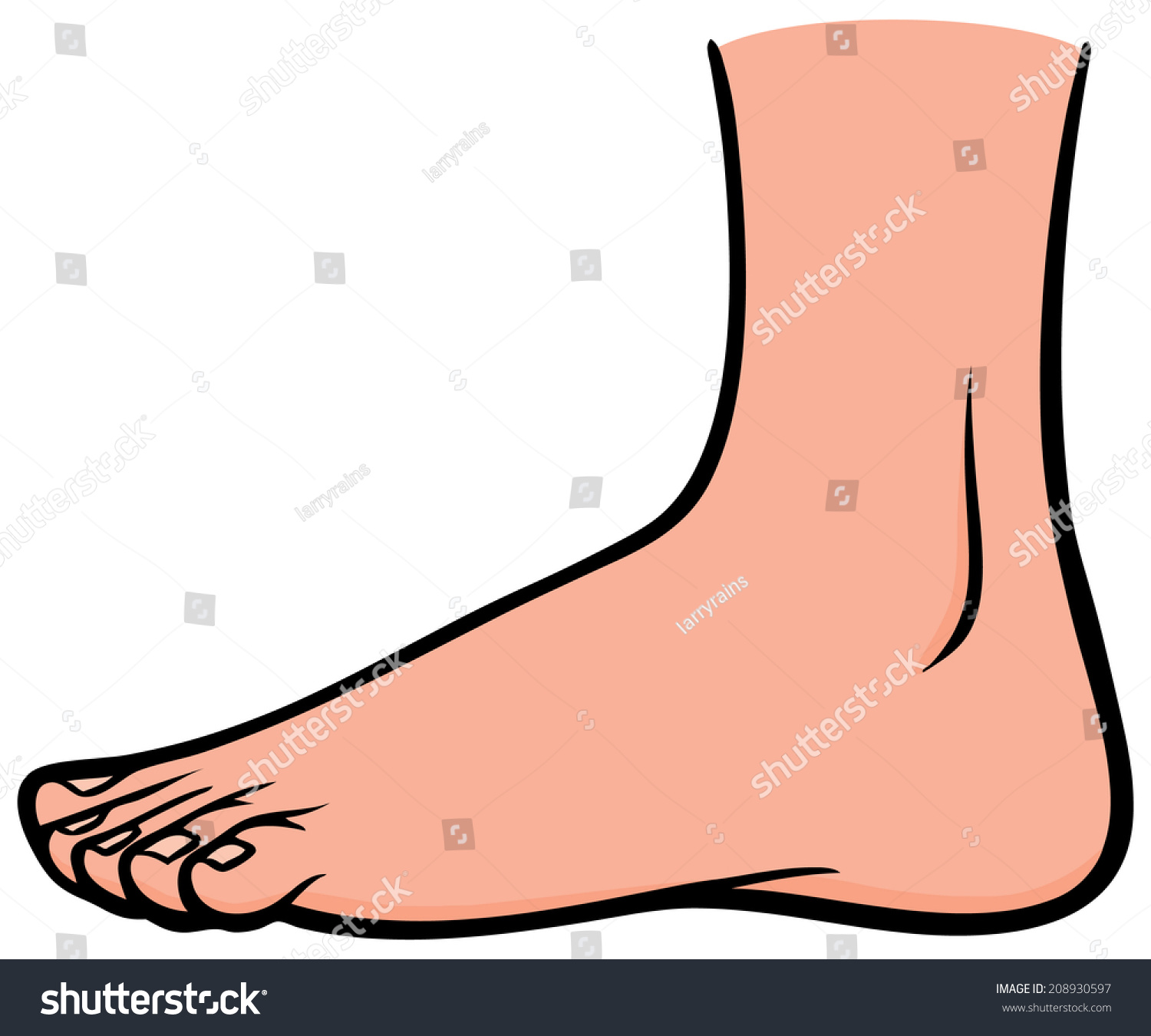 3,695 Ankle cartoon Images, Stock Photos & Vectors | Shutterstock