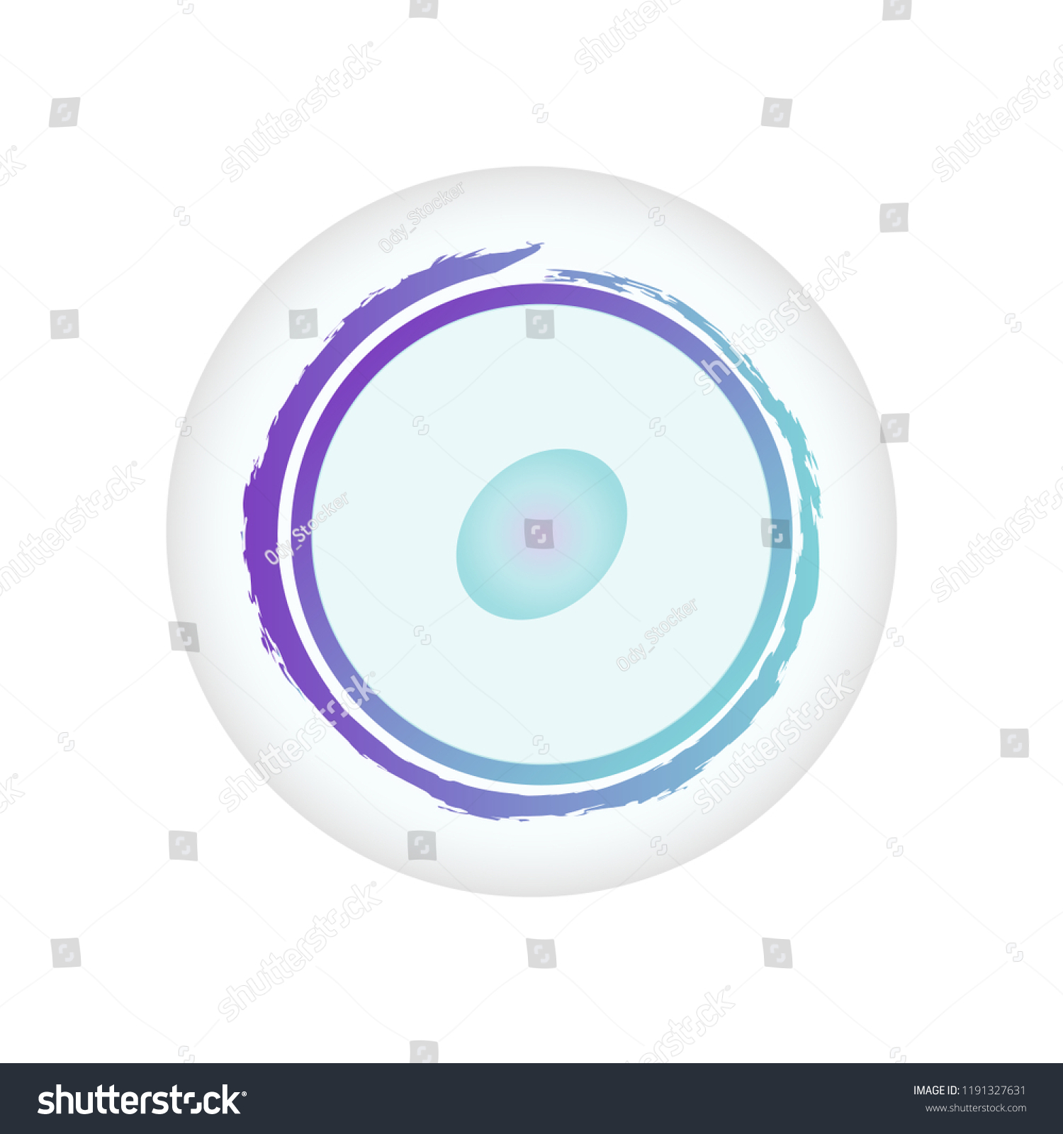 Ovum Vector Human Egg Cell Vector: เวกเตอร์สต็อก (ปลอดค่าลิขสิทธิ์ ...