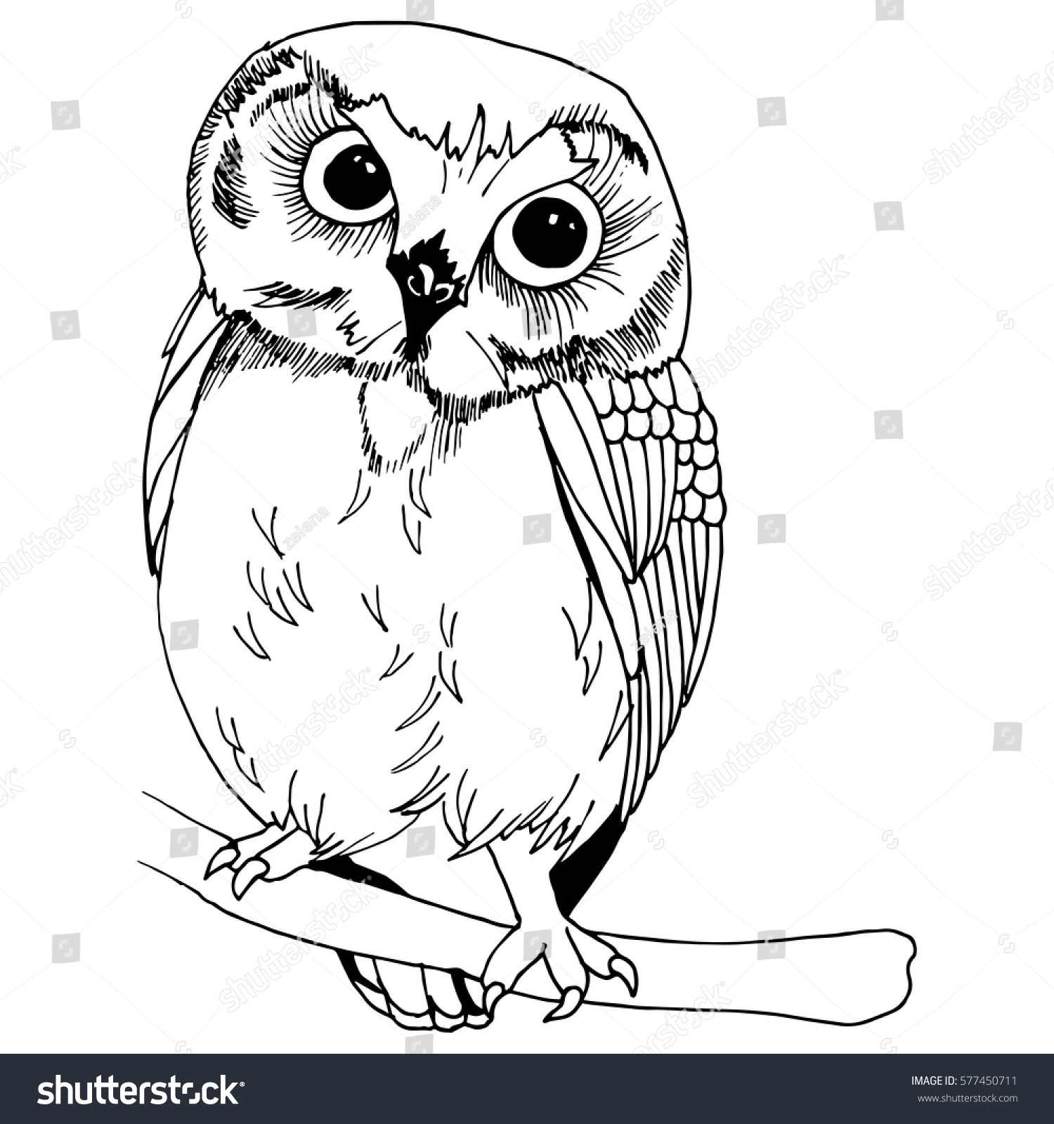 Owl Illustration Owl Drawing Vector On Stock Vector (Royalty Free ...