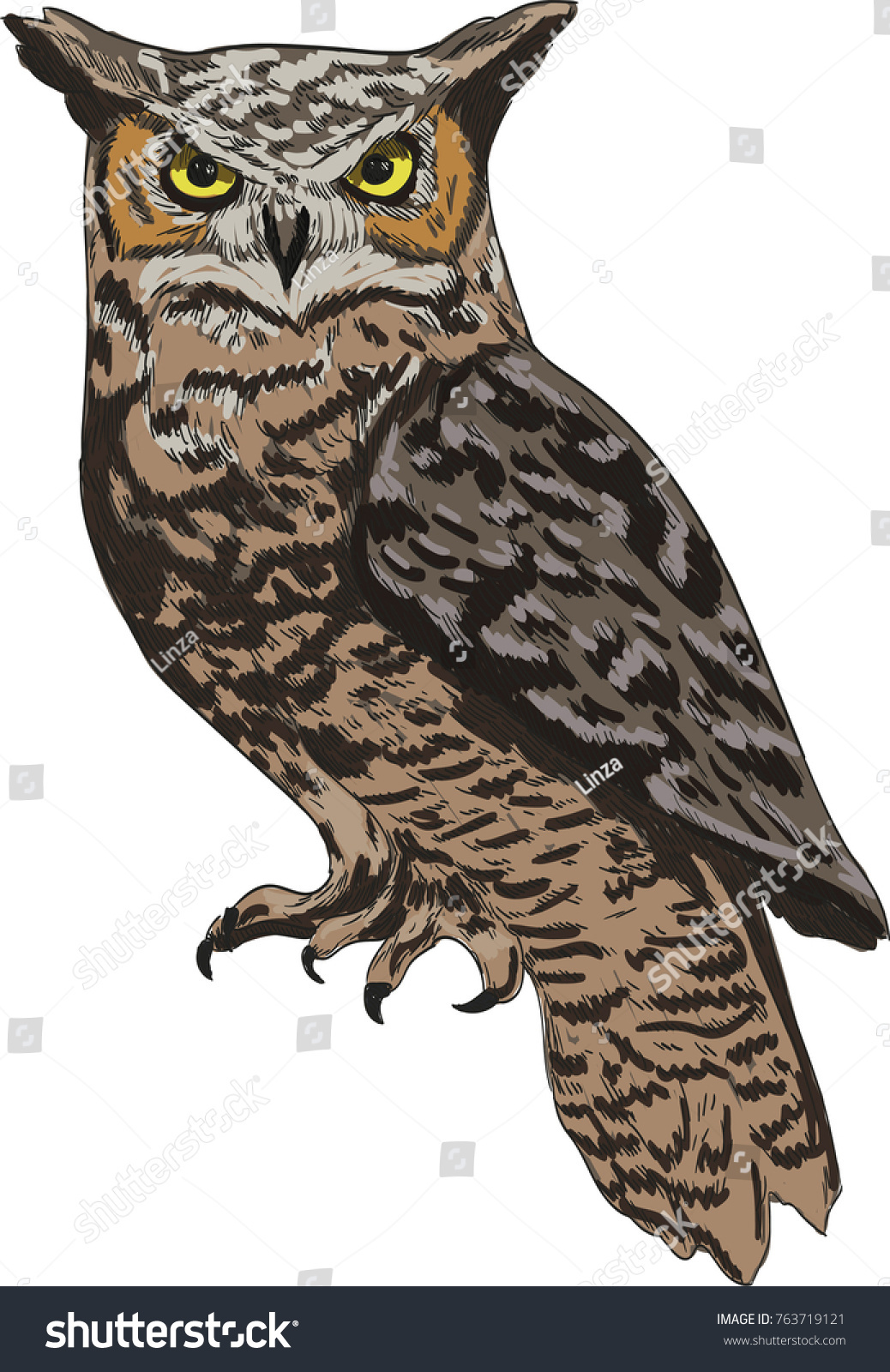 Owl Vector Drawing Illustration Stock Vector (Royalty Free) 763719121