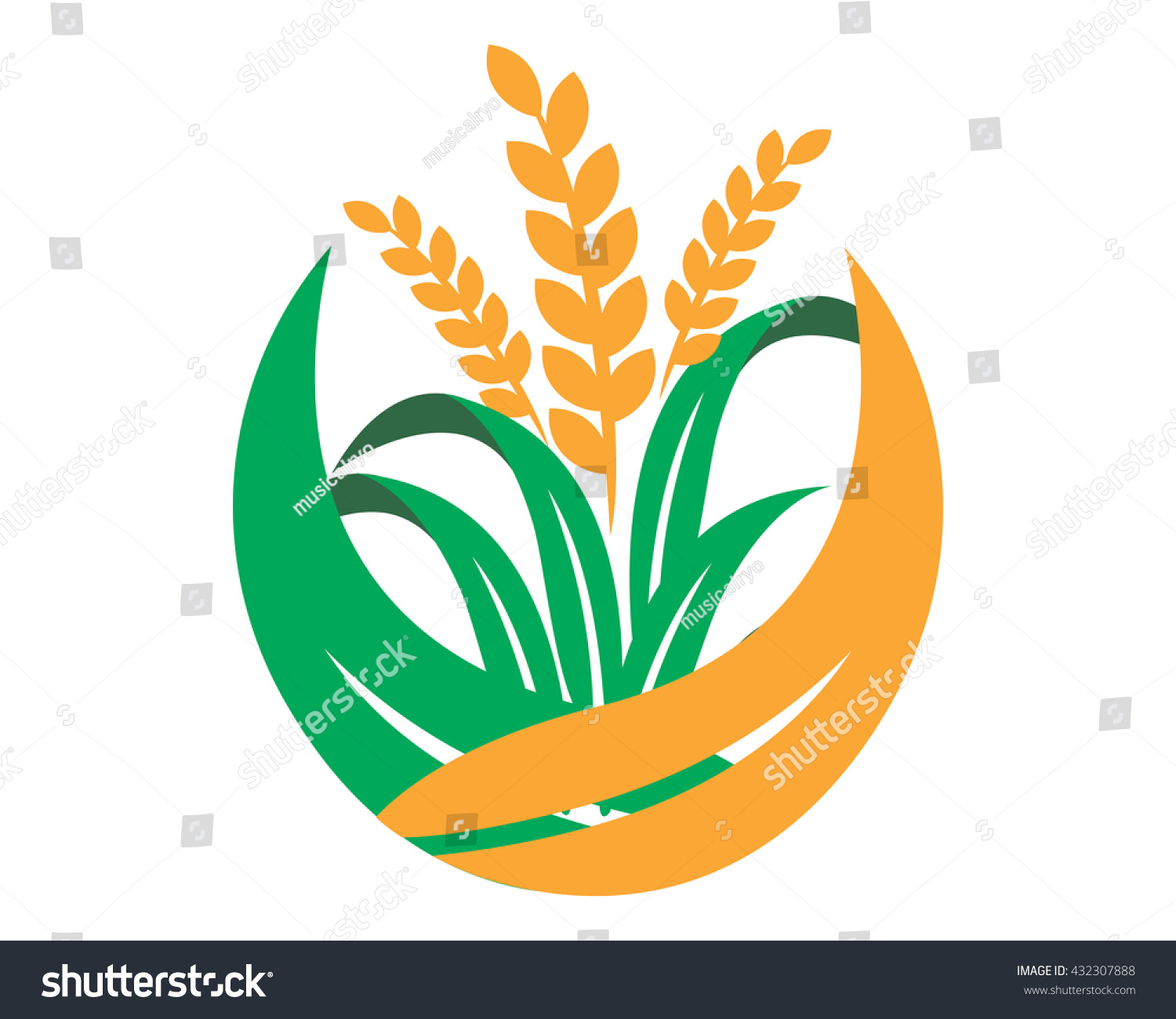 Paddy Wheat Icon 2 Stock Vector 432307888 - Shutterstock